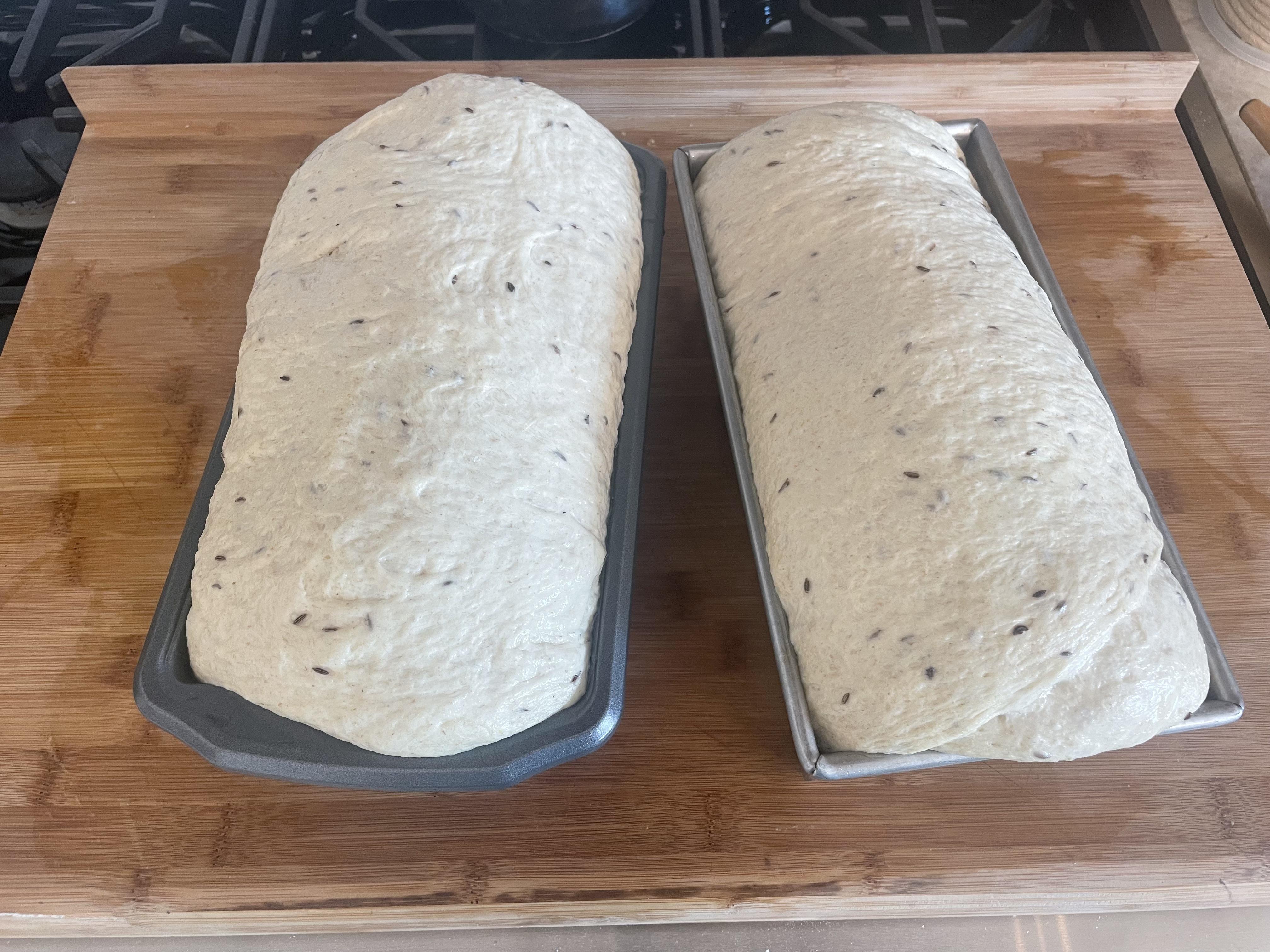 First time having twins (caraway rye) | Scrolller