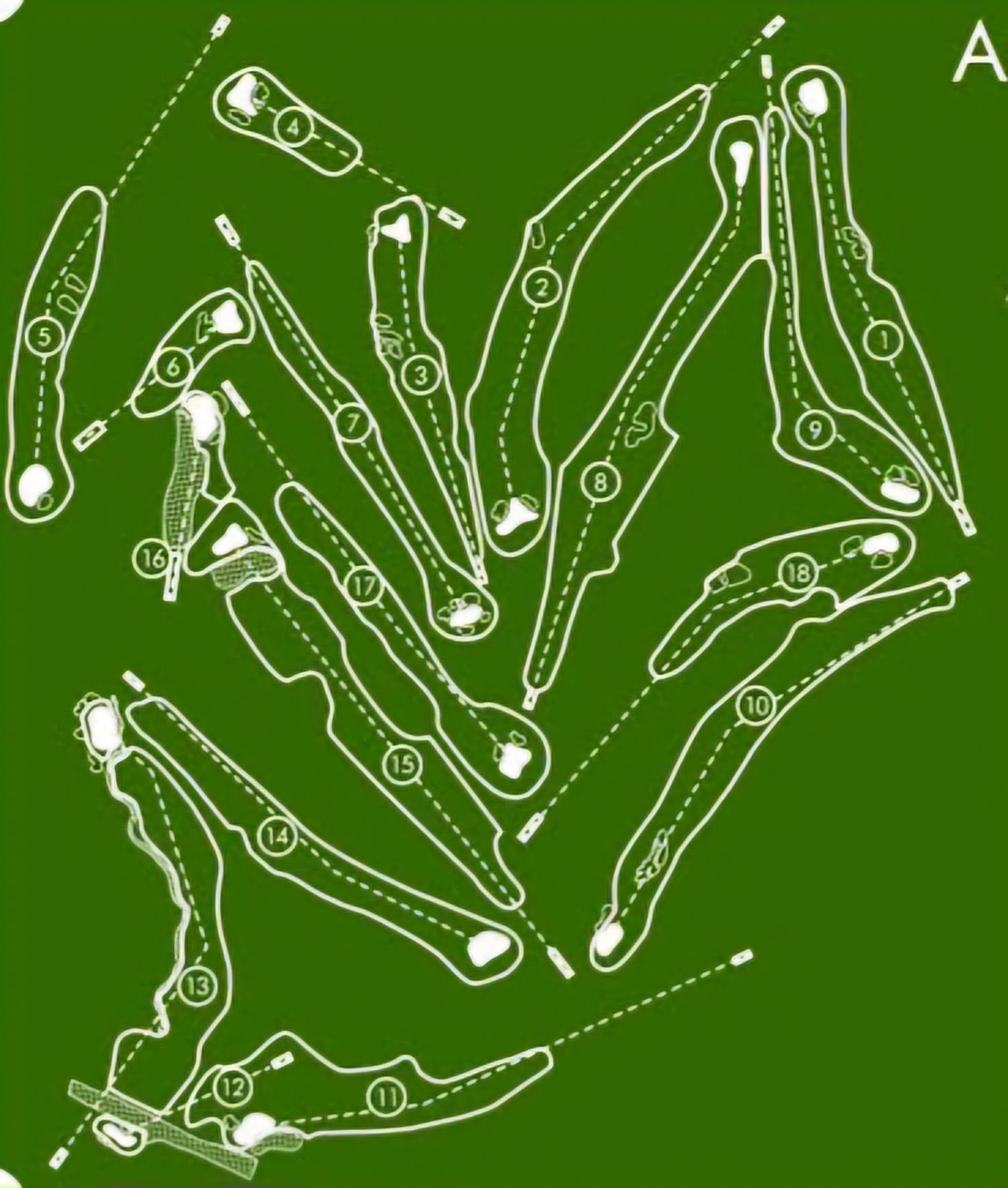 Augusta PHASE 1 COMPLETE | Scrolller