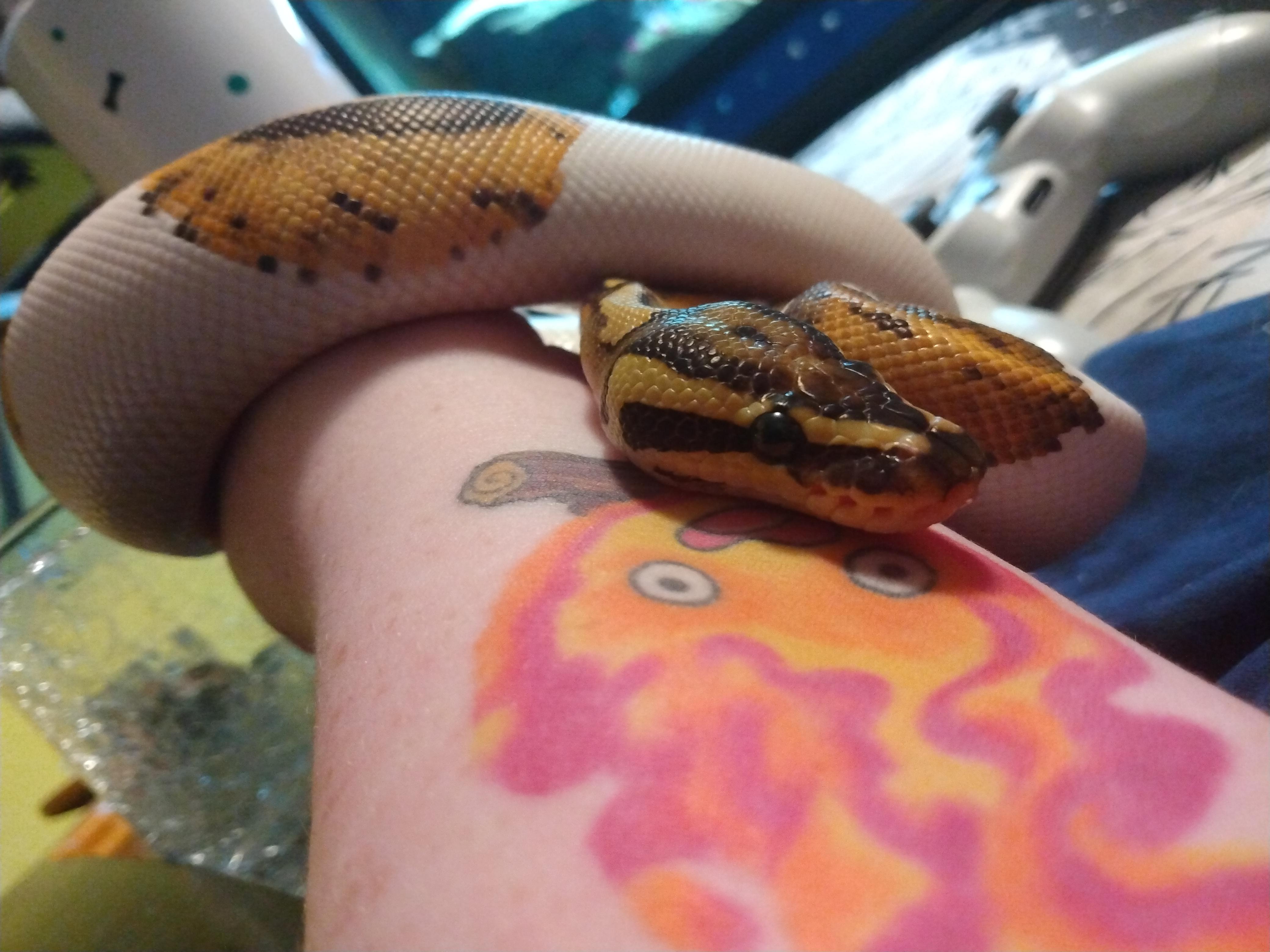 Finally Finished the Upgrade for My Boy Zero | Scrolller