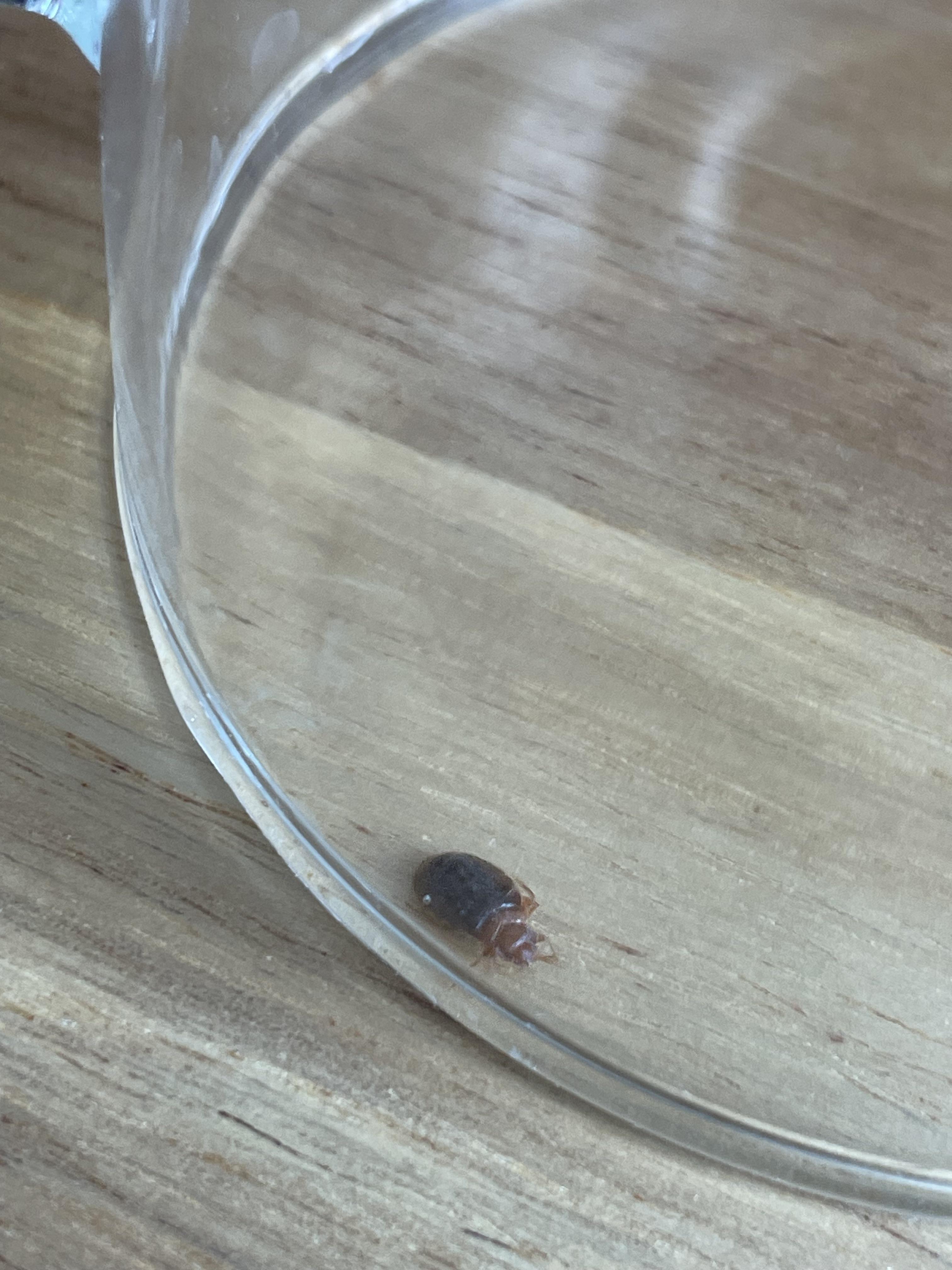 Please help identification | Scrolller