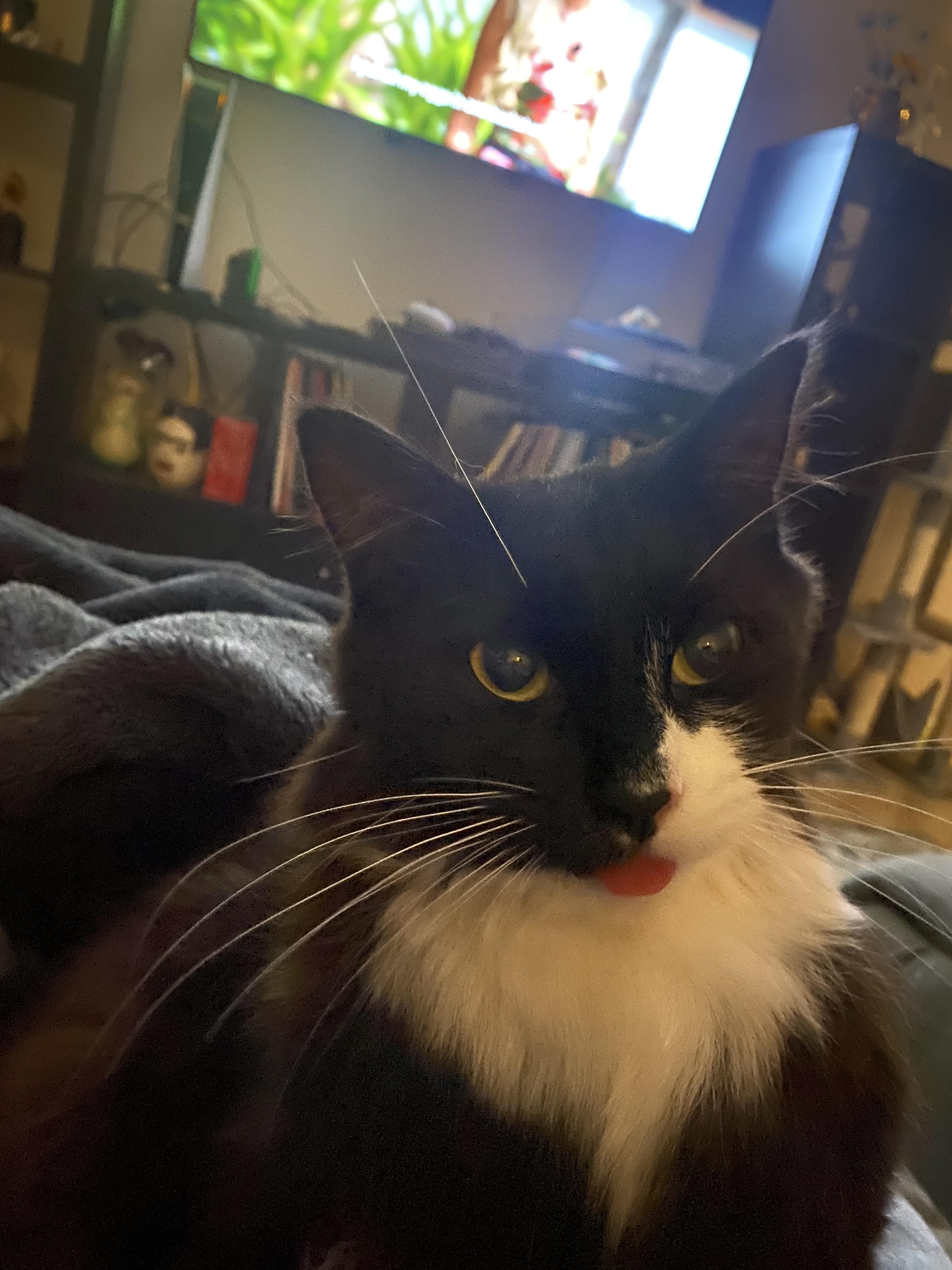 Bloop (OC) | Scrolller