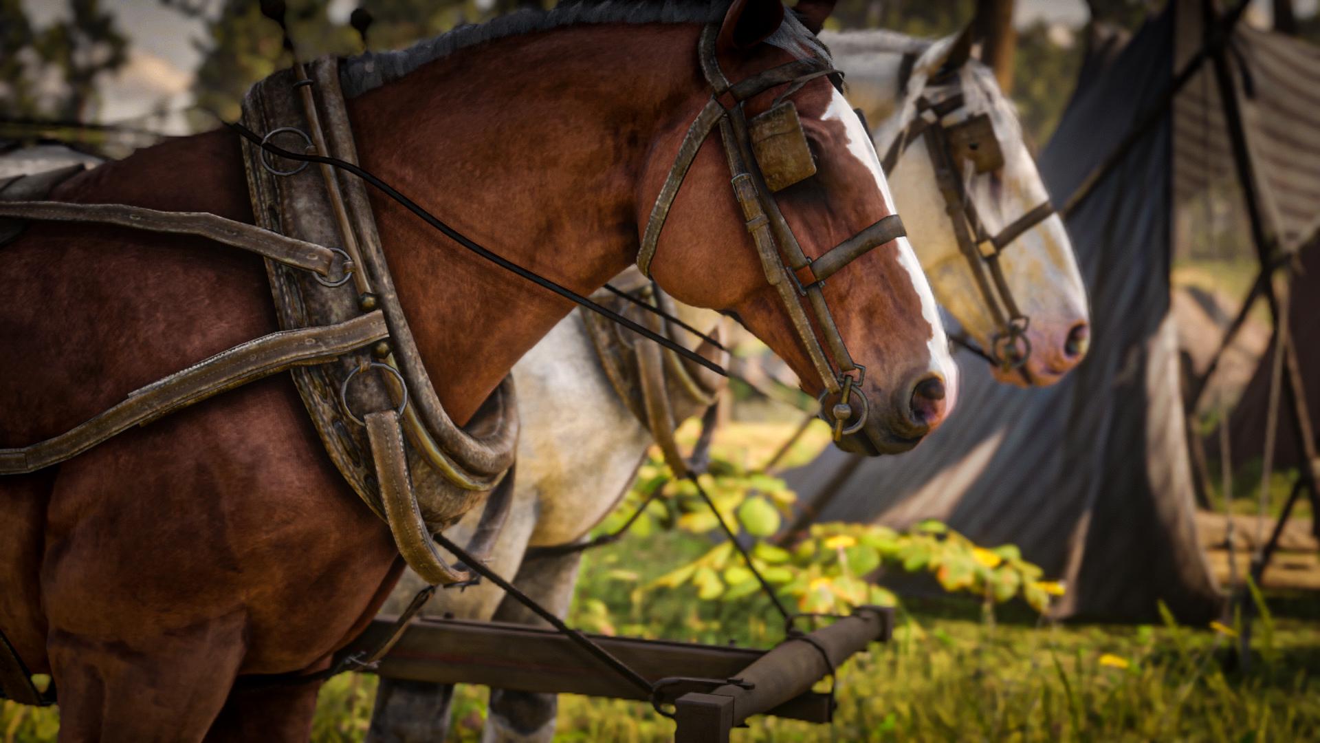 Workhorse | Scrolller