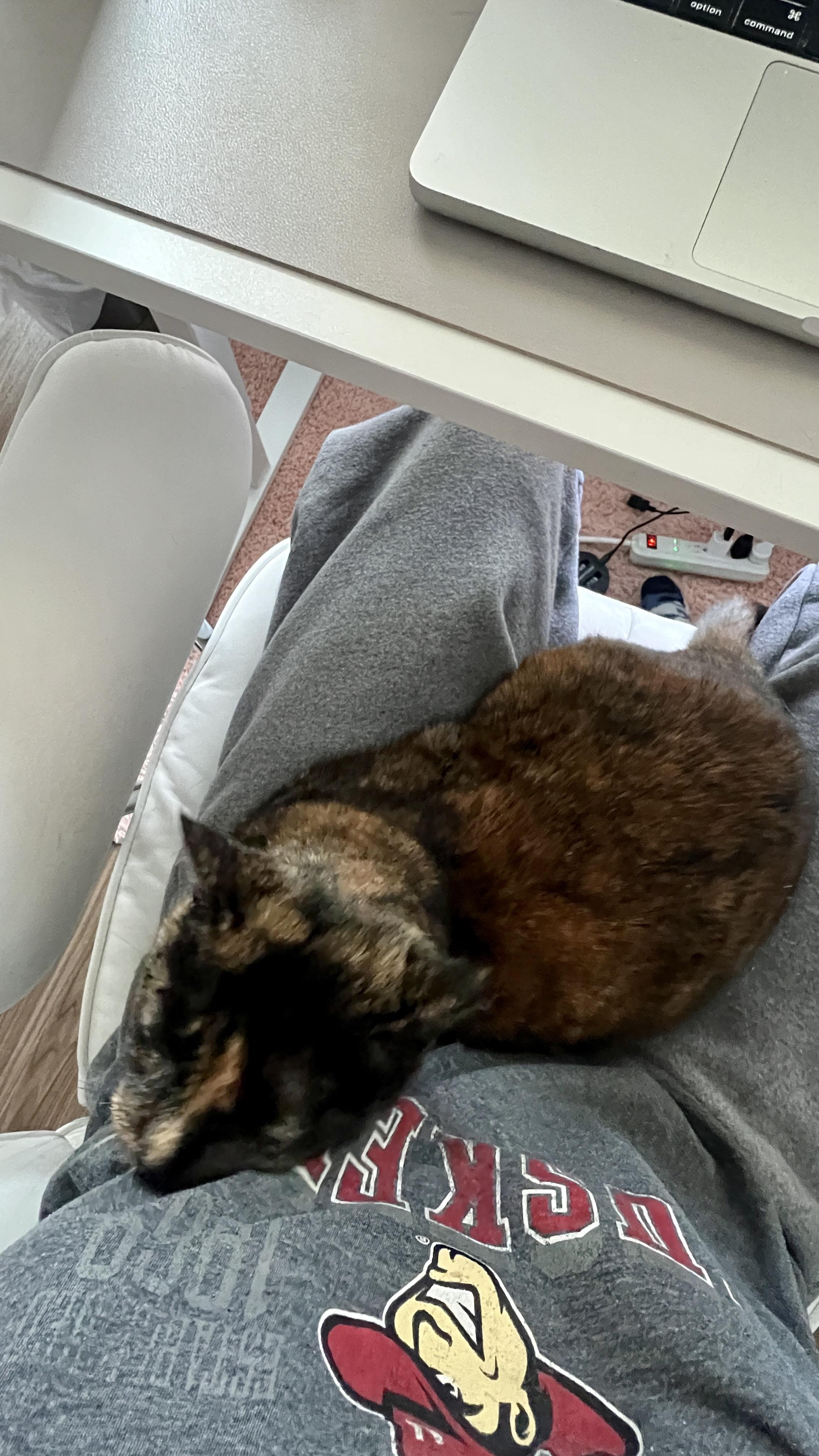 Meet zoe 🥰 | Scrolller