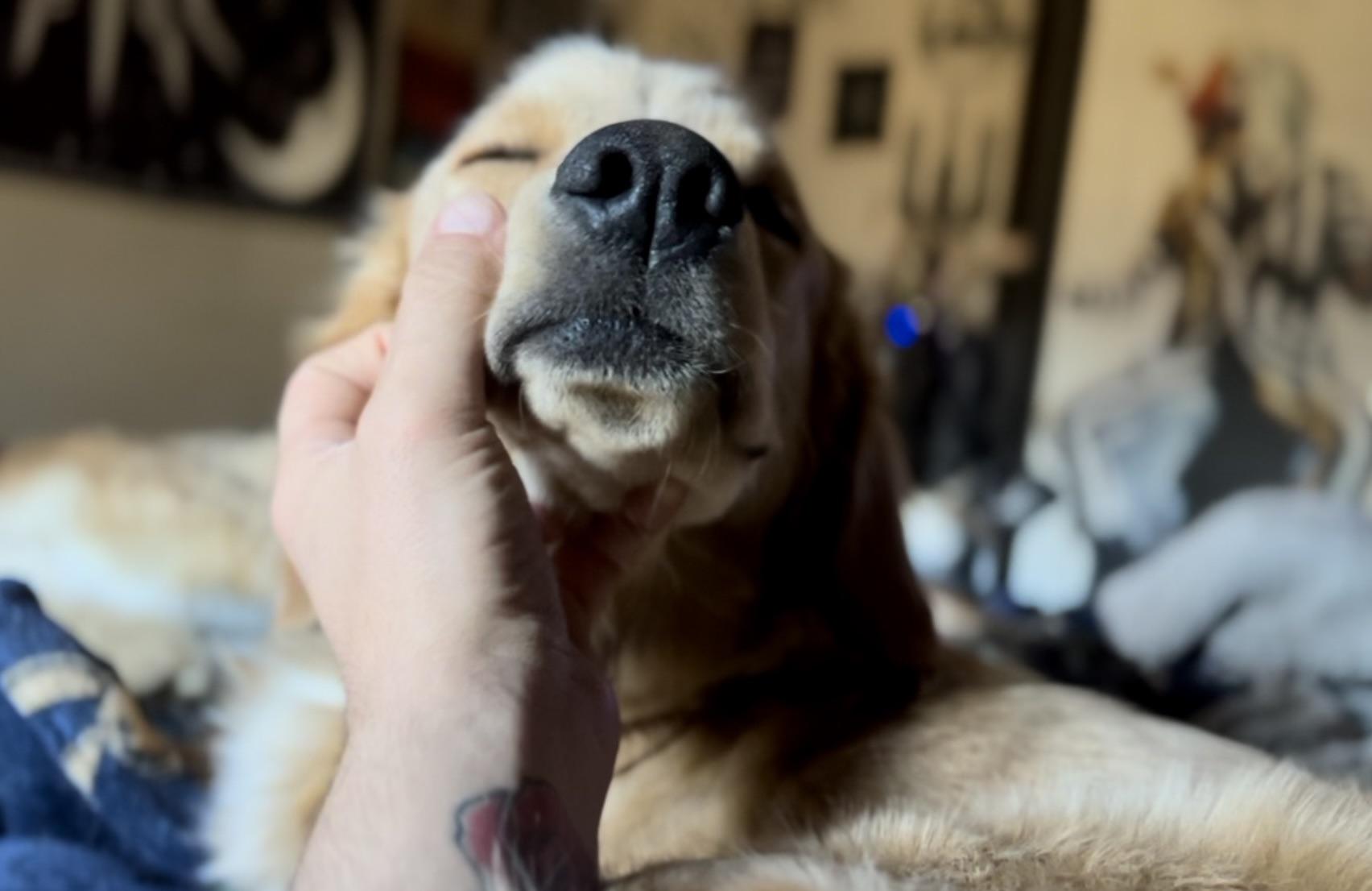 My sweet girl Winnie! | Scrolller