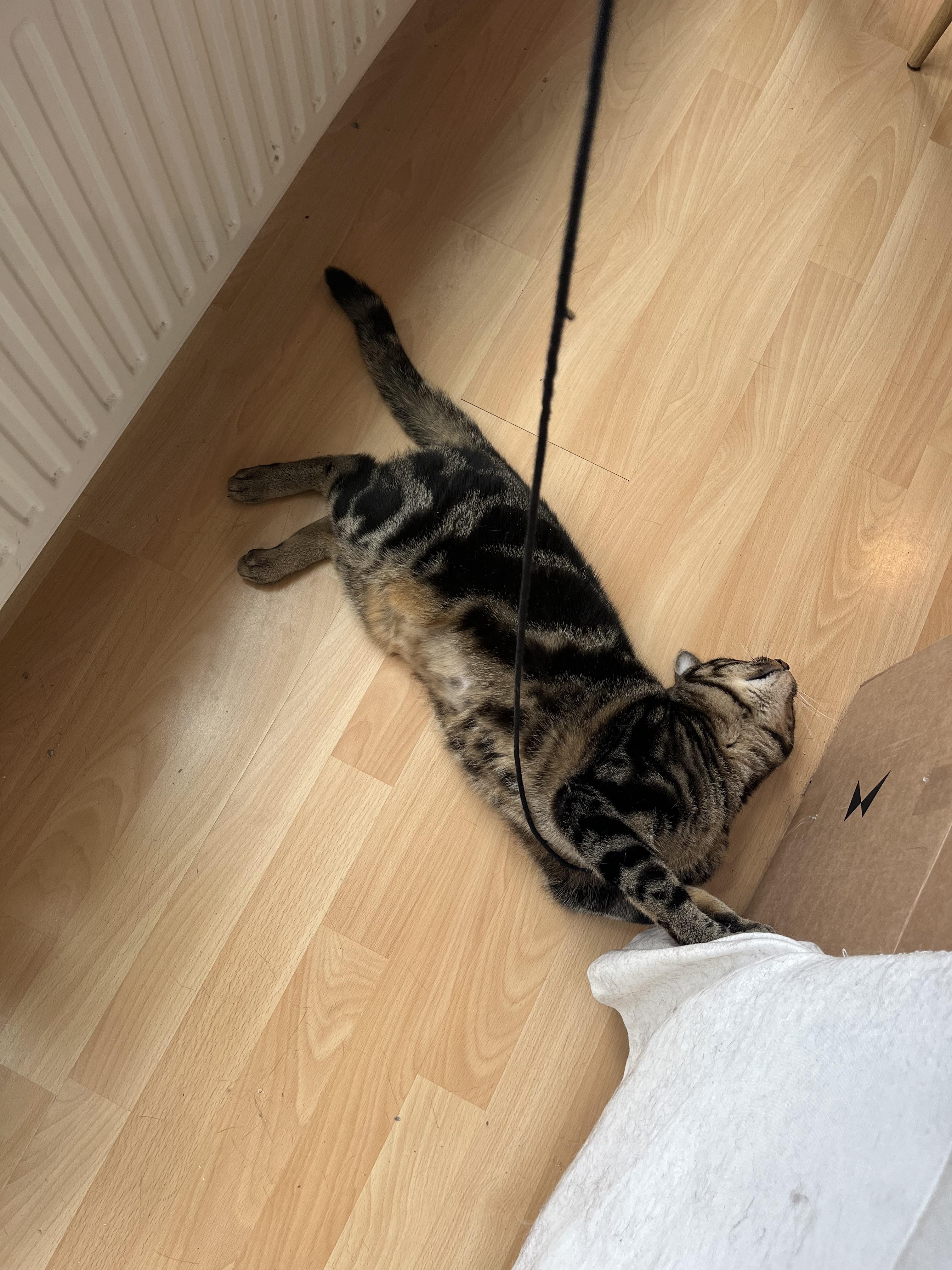 No strings attached | Scrolller