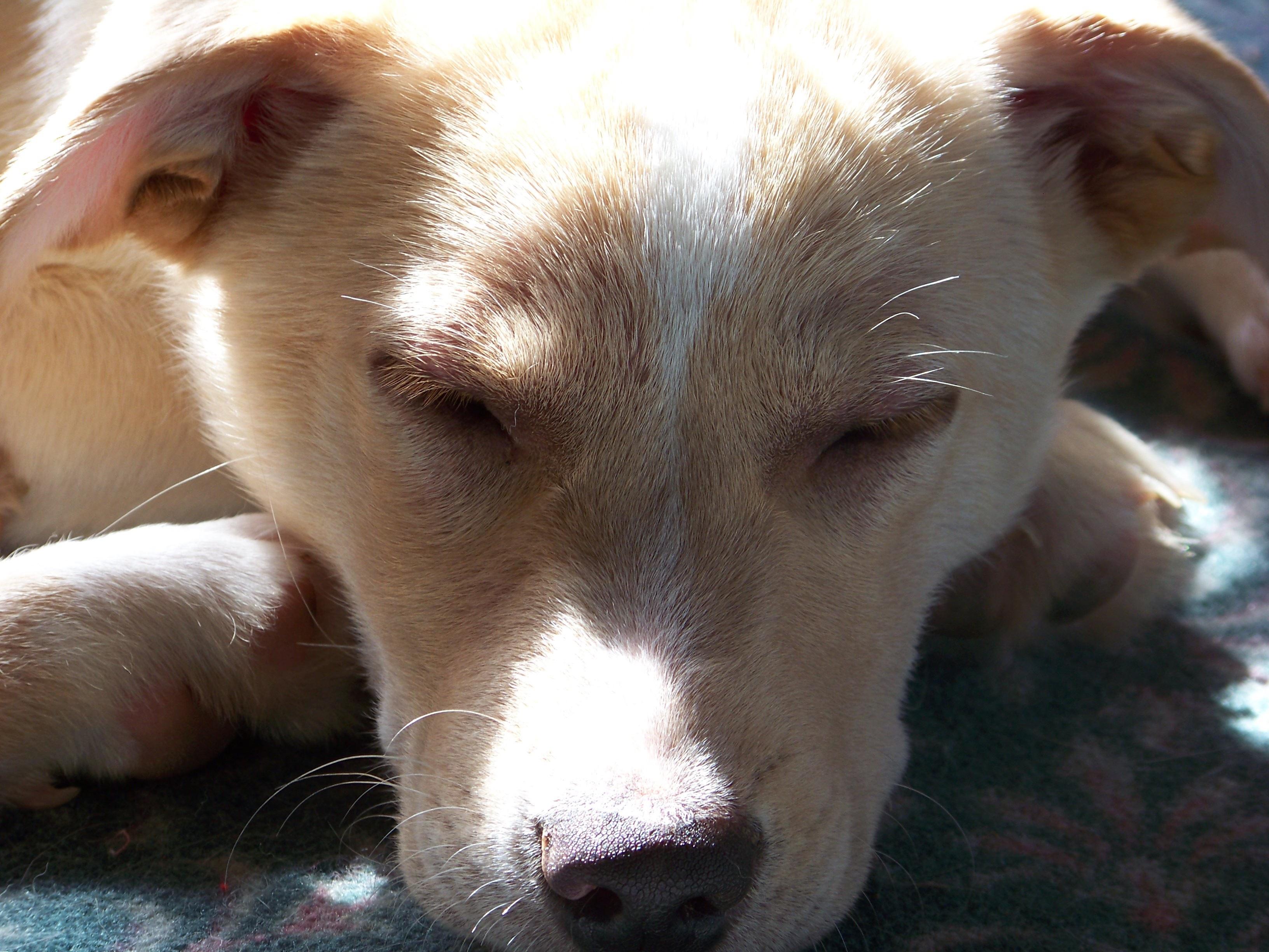 Mr Toby Bones | Scrolller