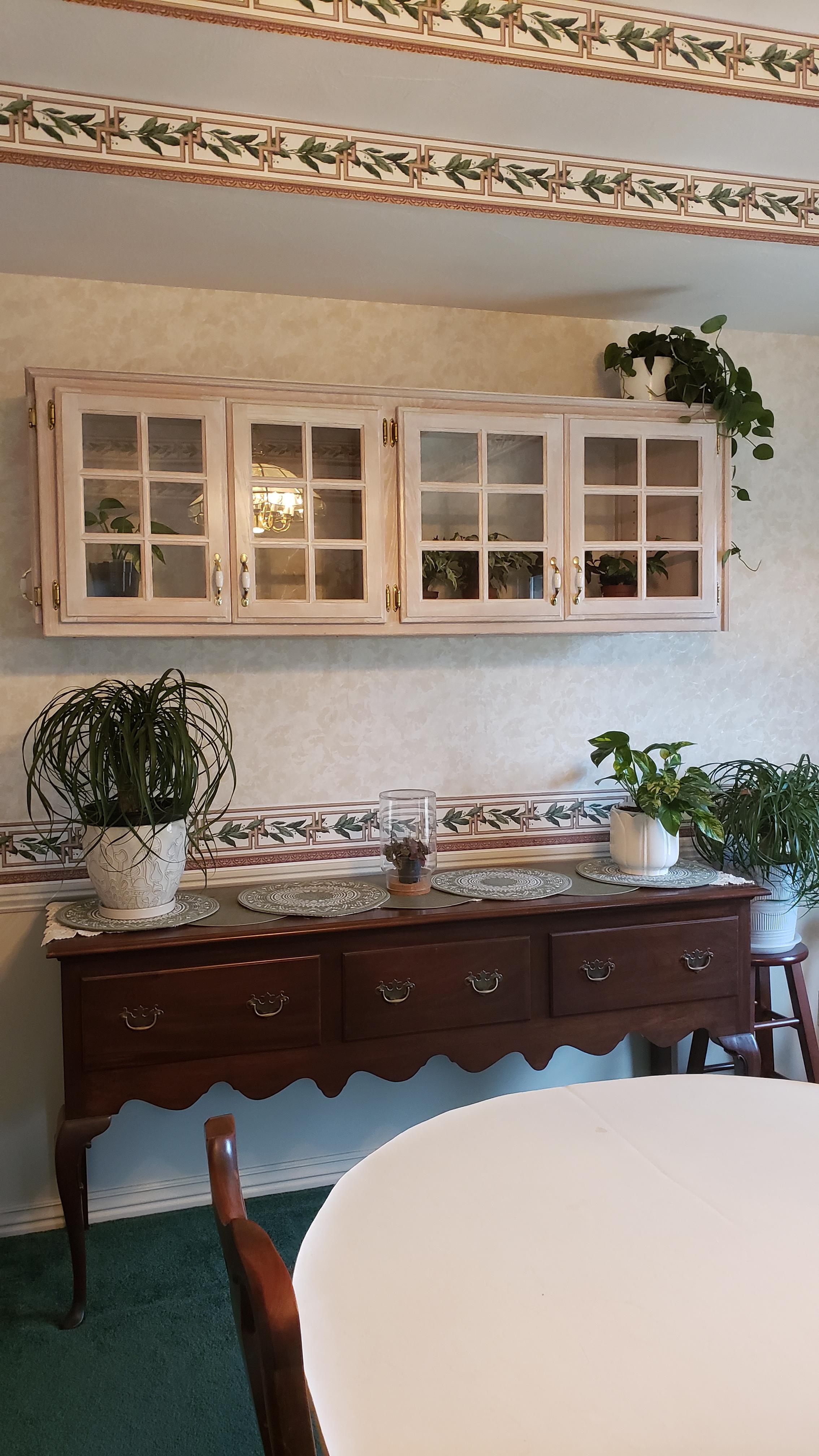 DIY: kitchen cabinet turned plant cabinet | Scrolller