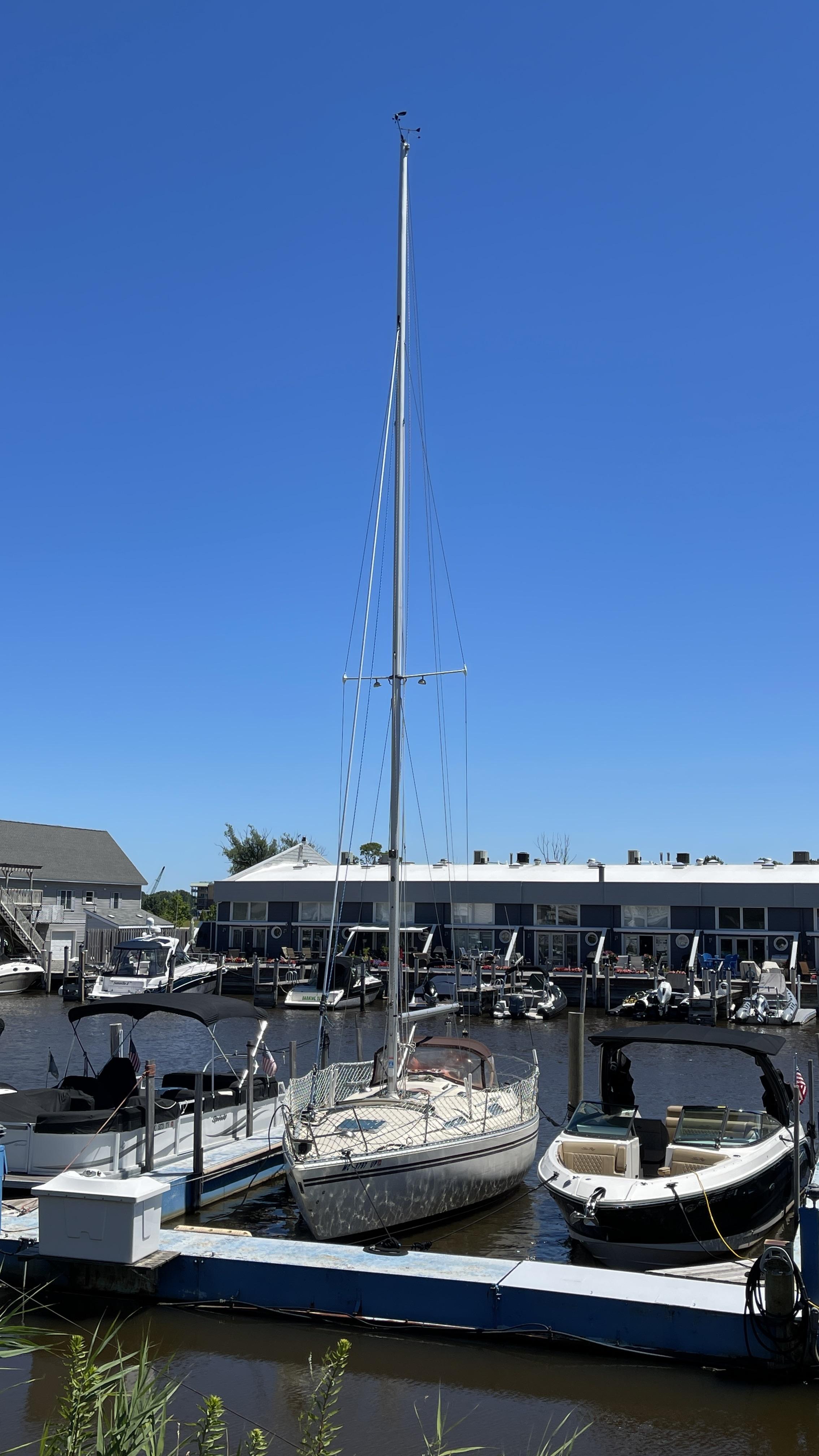 Launch day—finally | Scrolller