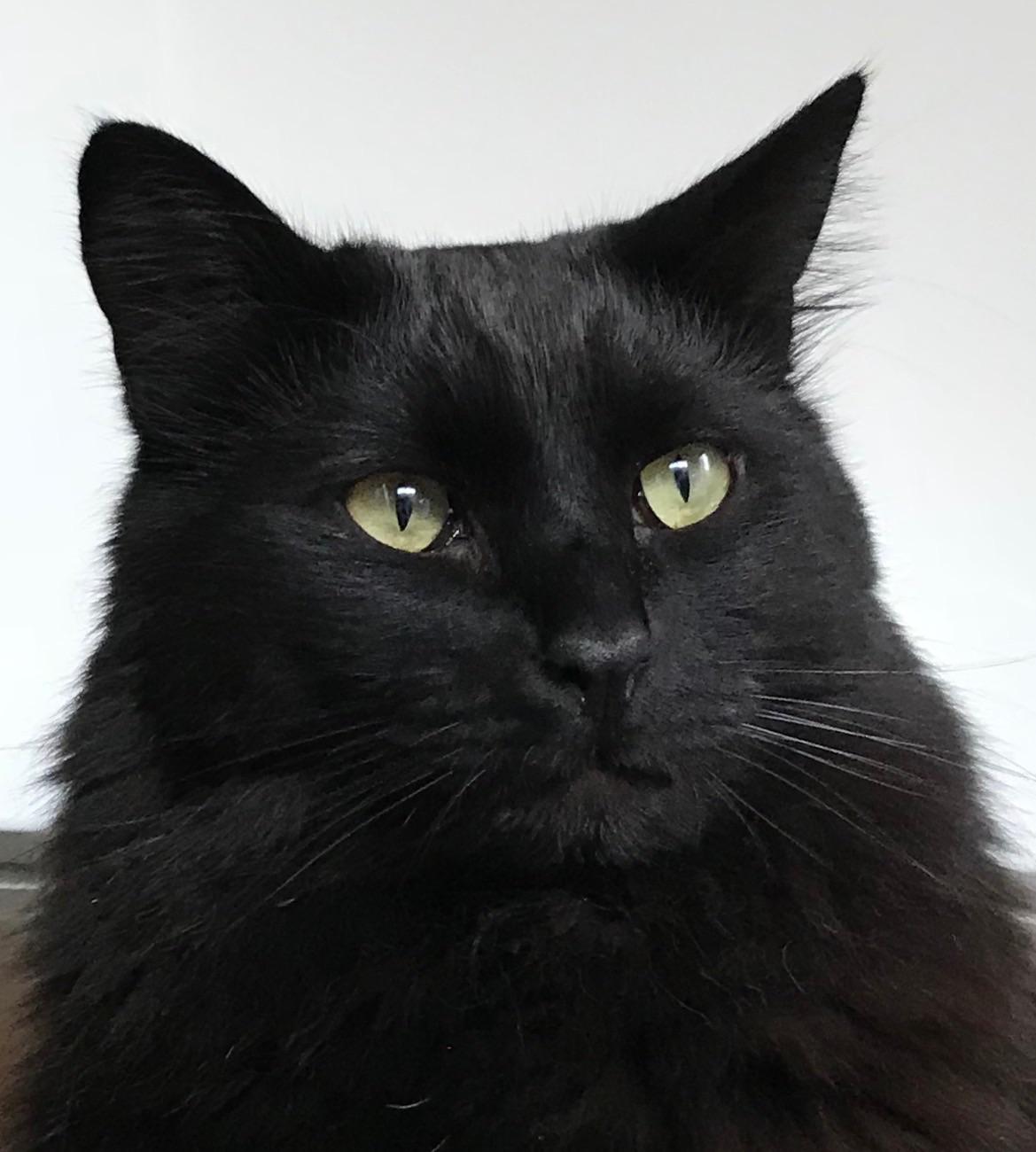 Enter the Void | Scrolller