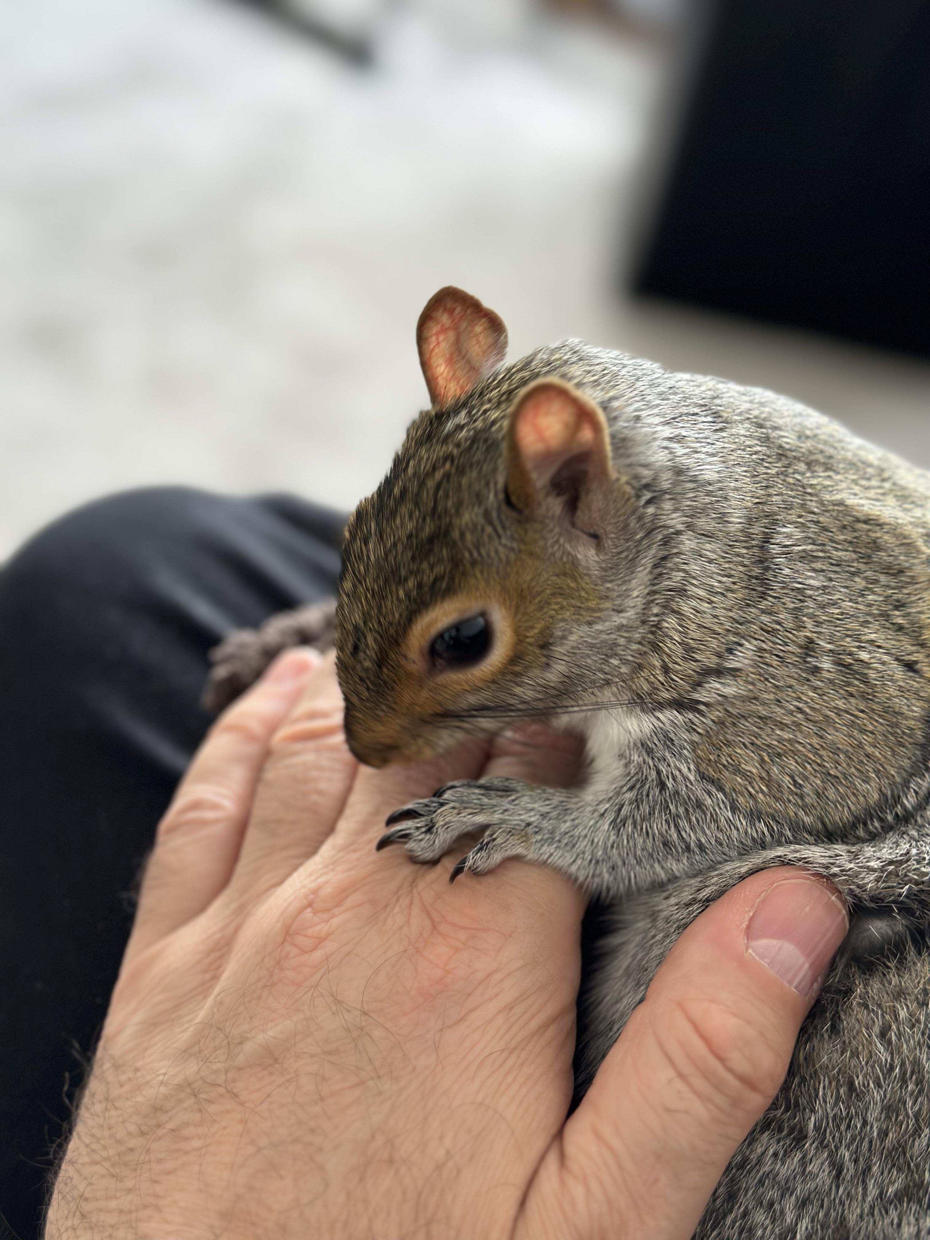 Back scratching is her specialty 👀 | Scrolller