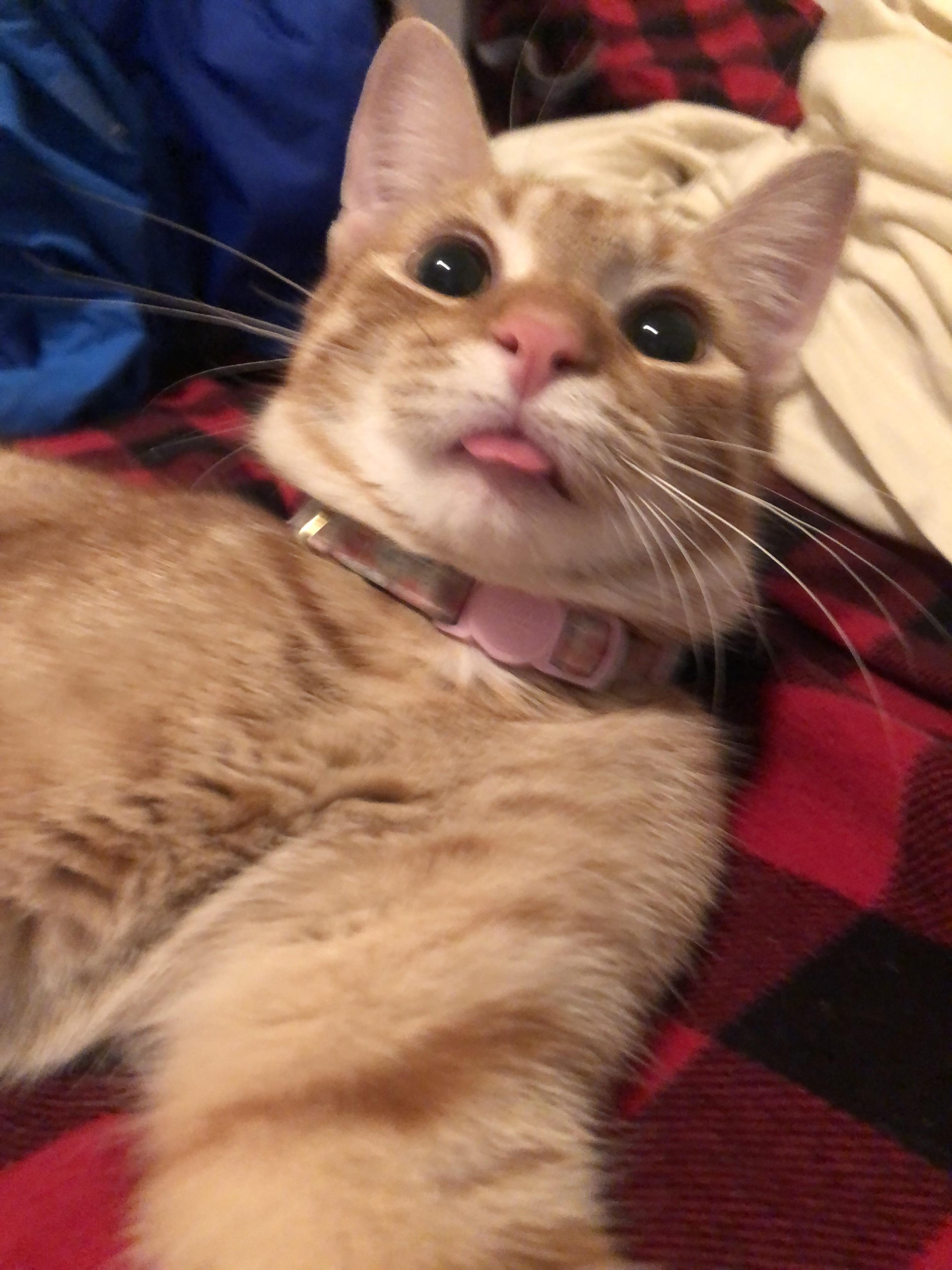 She got too silly | Scrolller