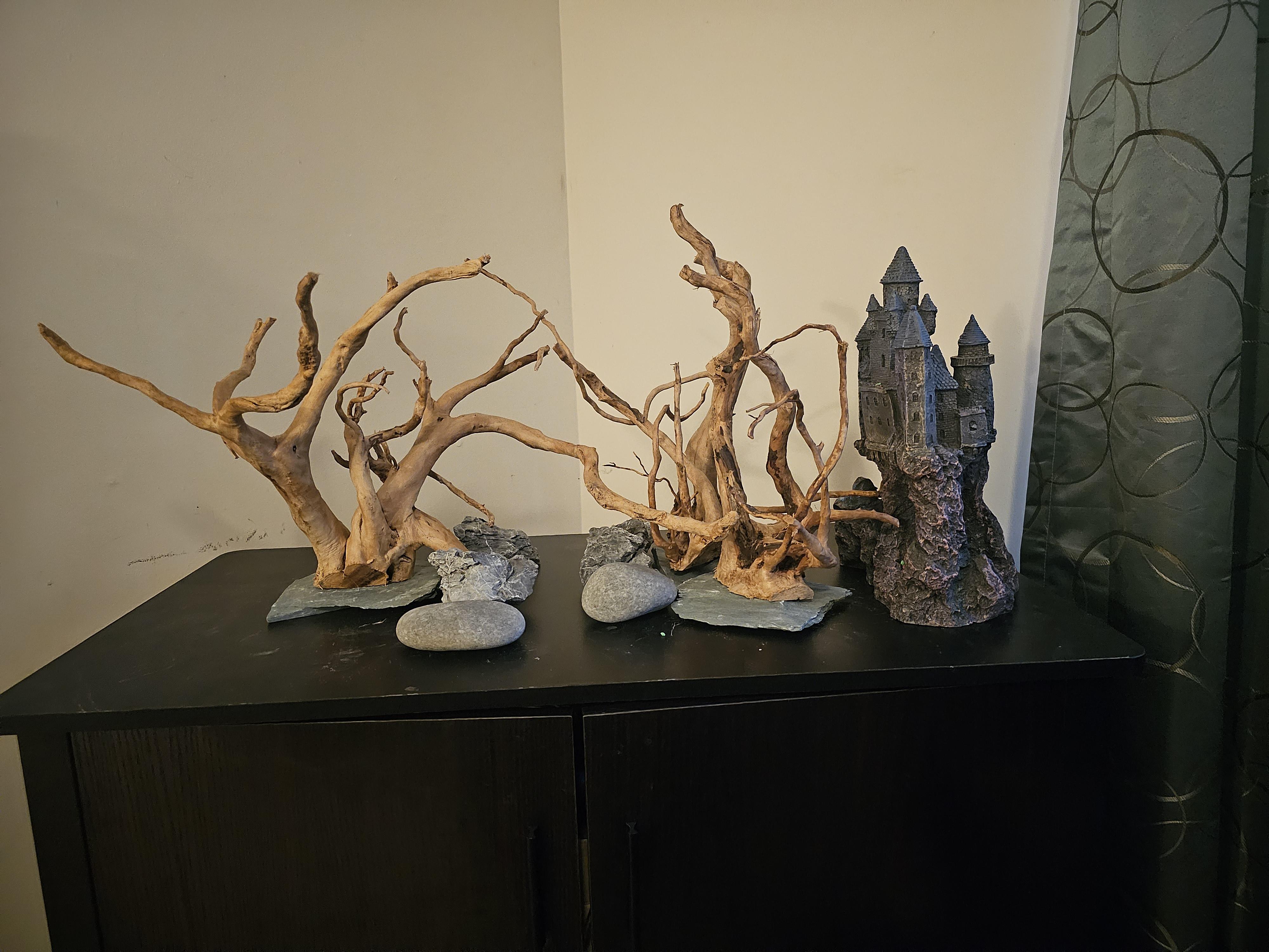 Spiderwood + castle ideas feedback? | Scrolller