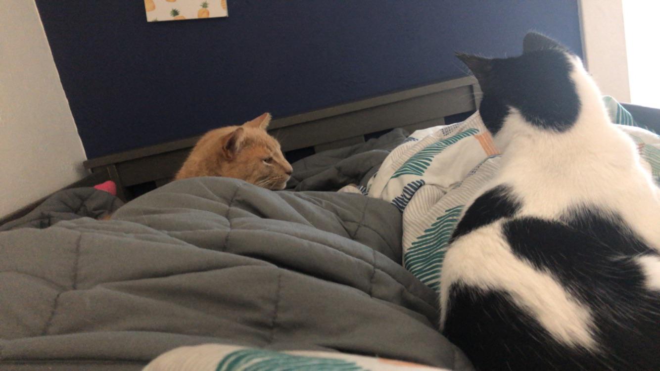 Moments before disaster | Scrolller