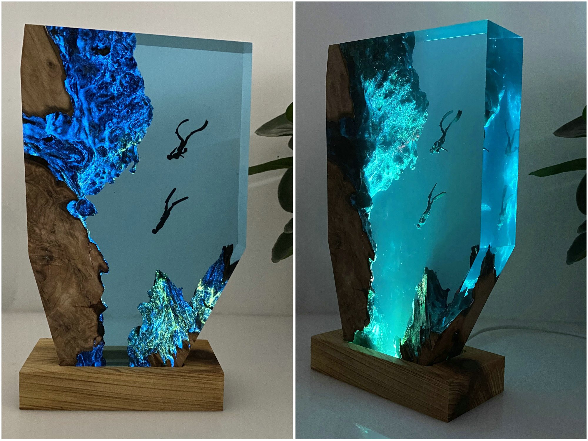 Every dive is like a treasure hunt | Scrolller