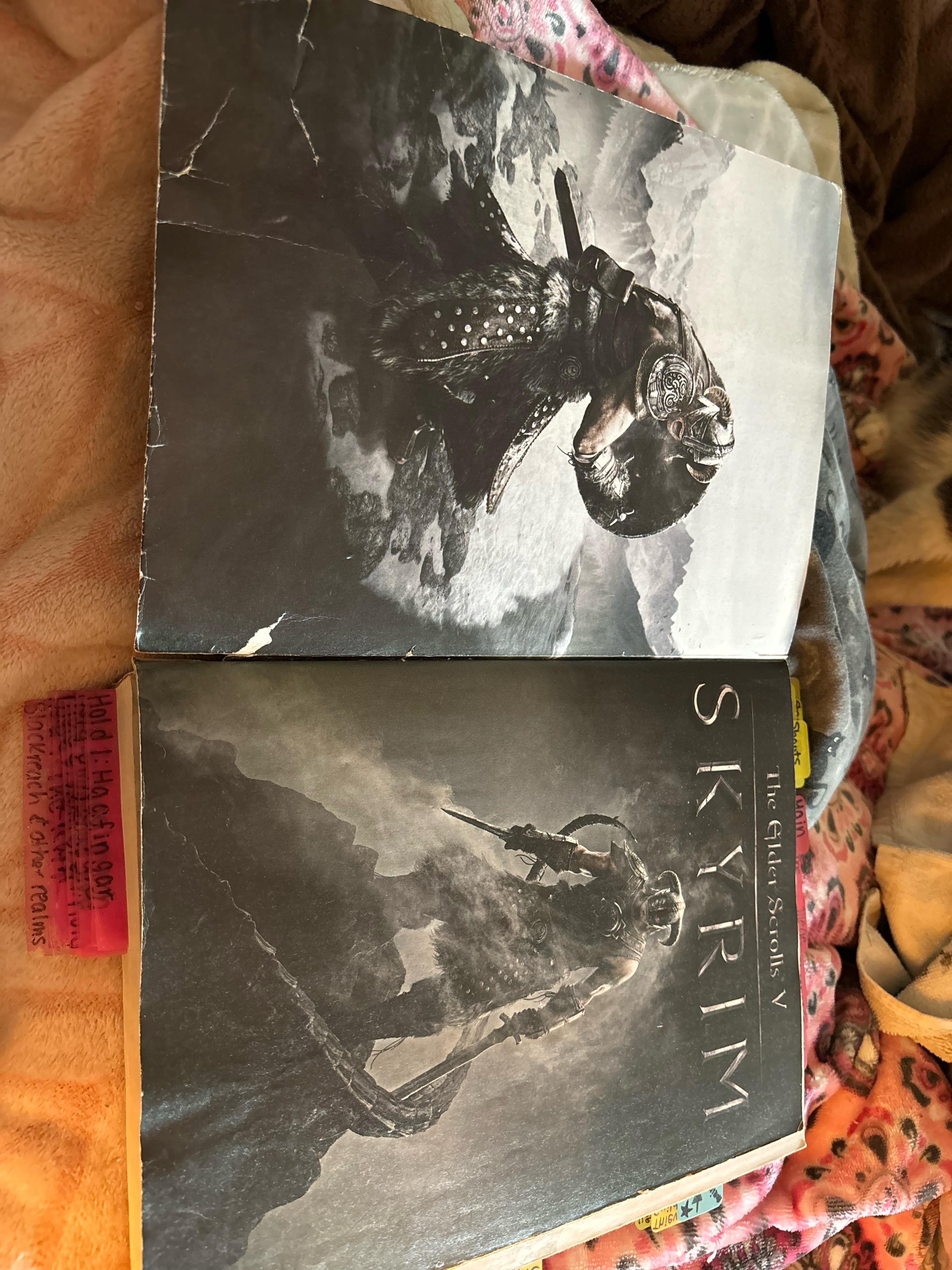 Do yall have the Skyrim guide book and do yall use it if you do? | Scrolller