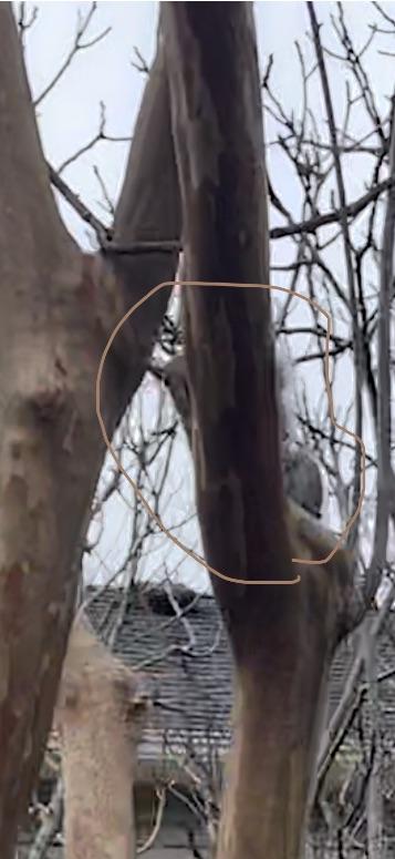 Always watching | Scrolller