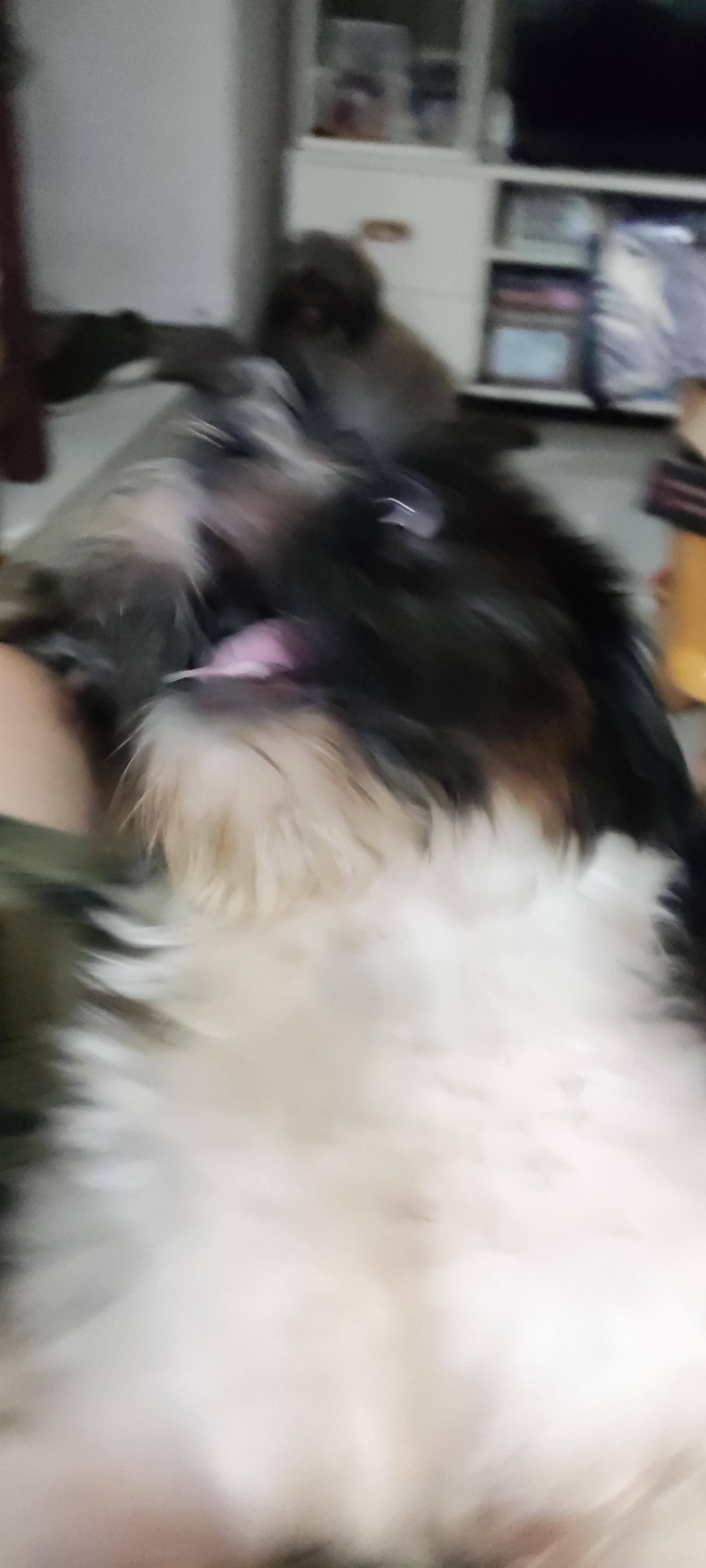 Aquila hyper mode activated | Scrolller