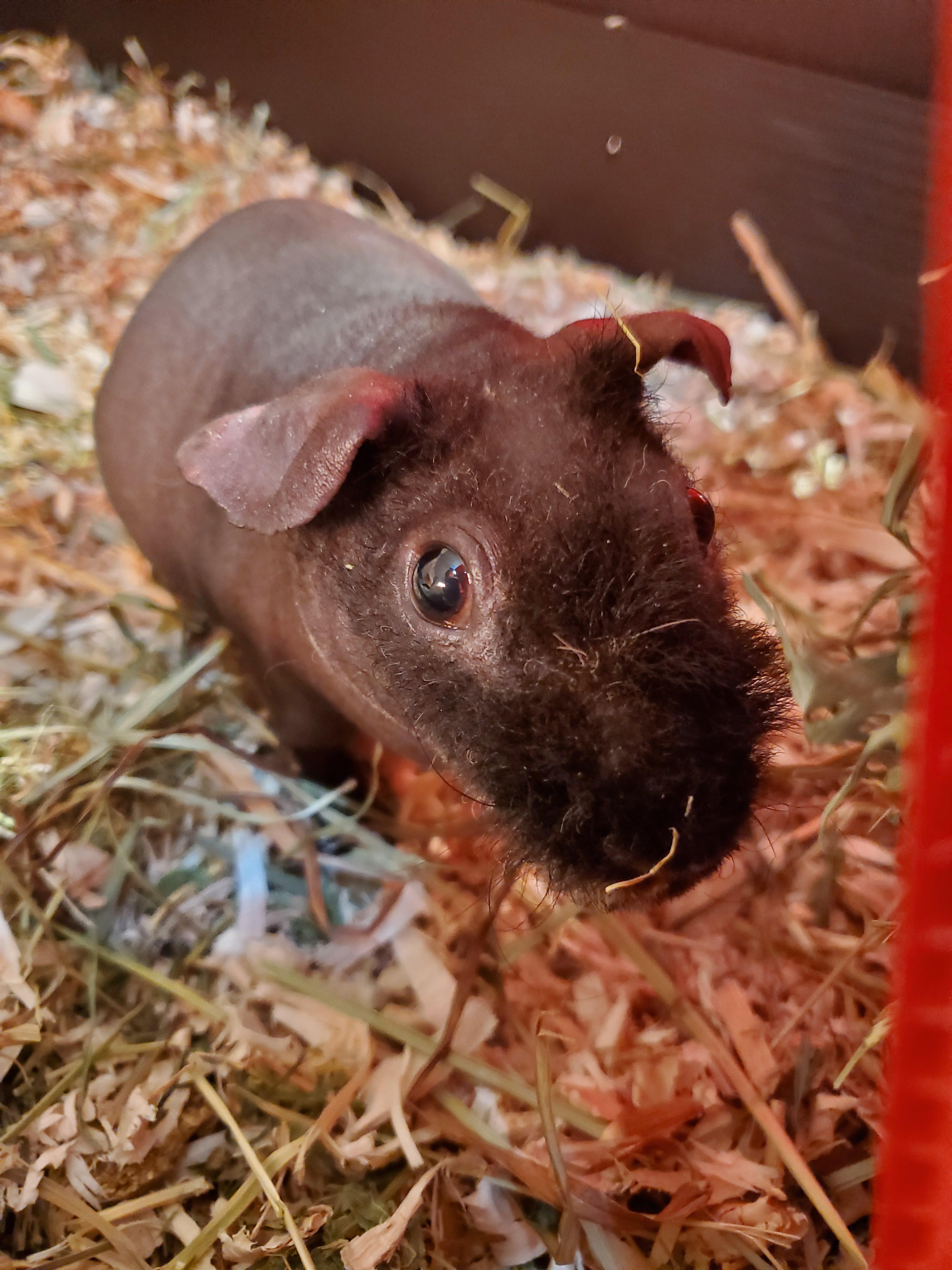 Is separate floor time damaging for bonding boys? | Scrolller