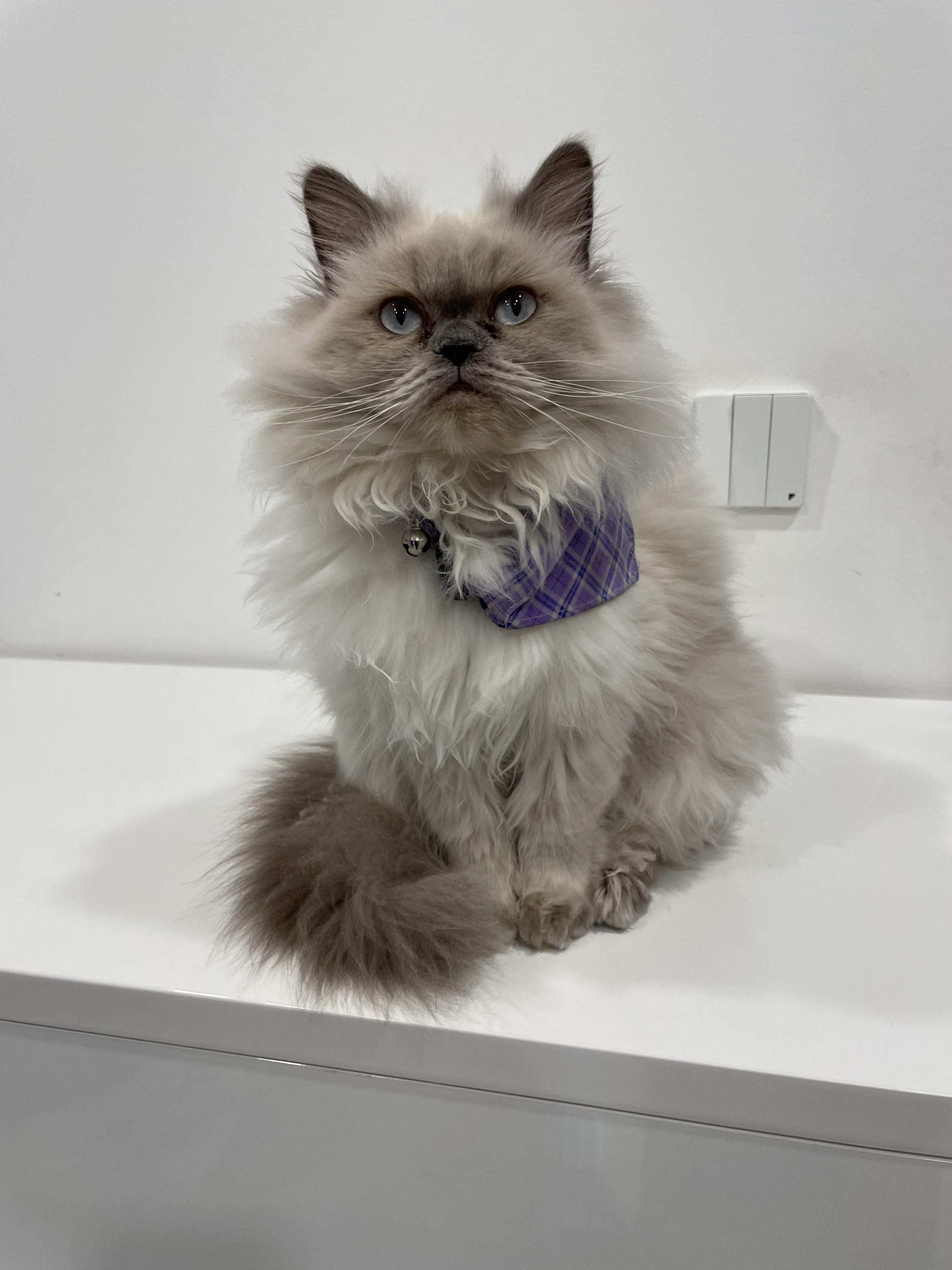 Discover more like Floof: Cootie Hendrix Bear 🐻 and Related Content | Scrolller