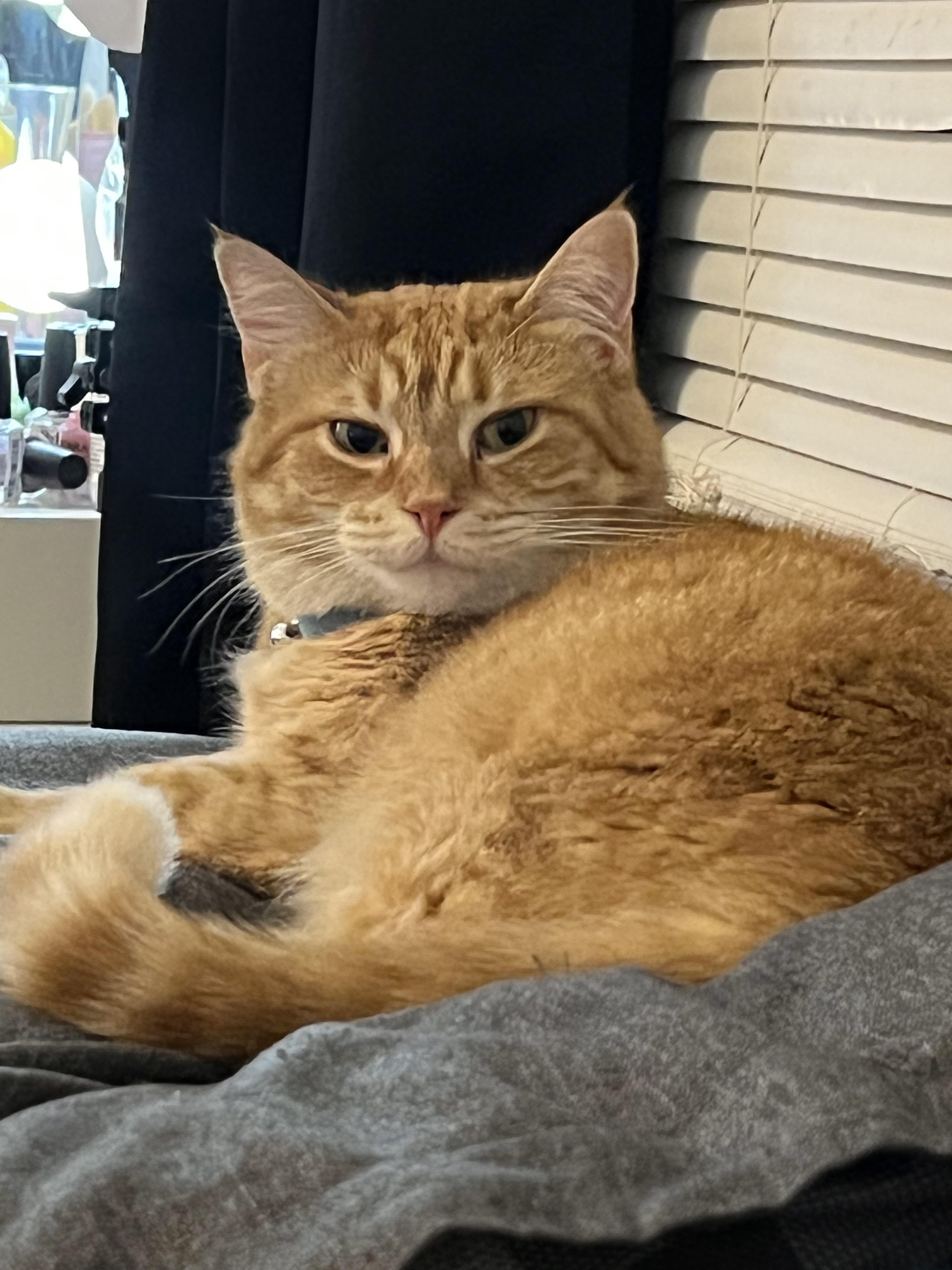 She’s not amused | Scrolller