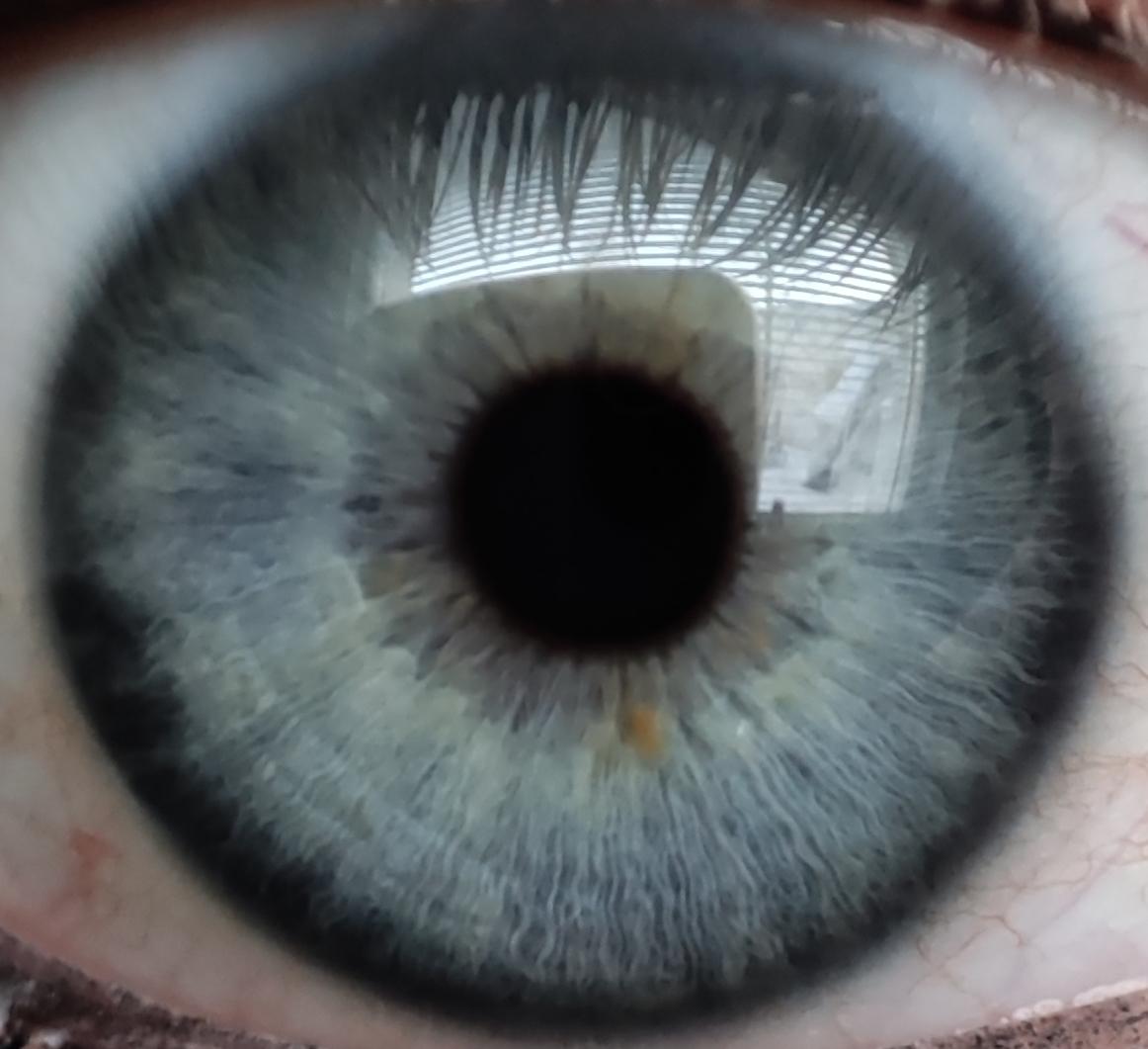 Saw someone do this and got curious. What color is my eye from the ...