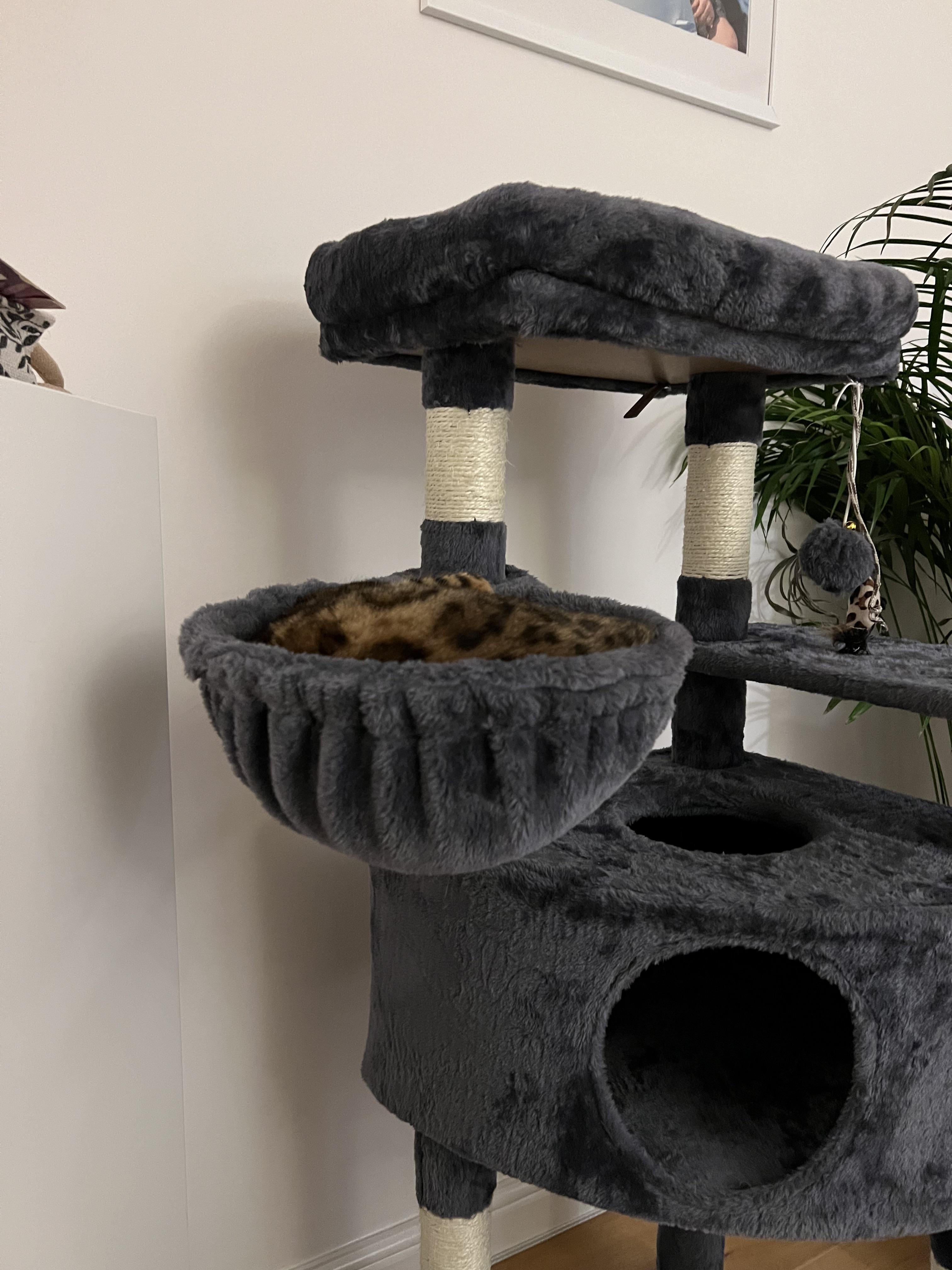 The perfect circle? | Scrolller