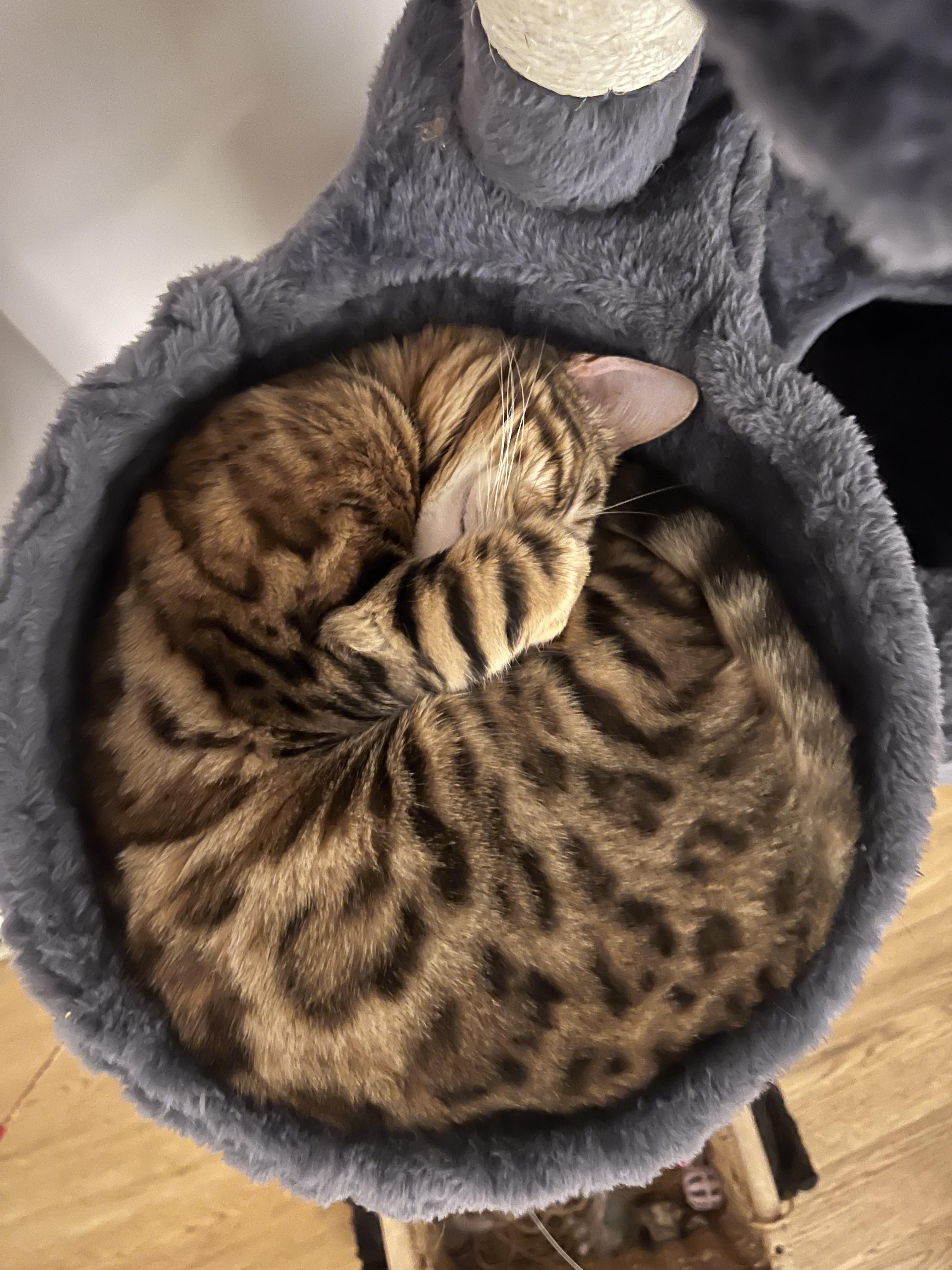 The perfect circle? | Scrolller