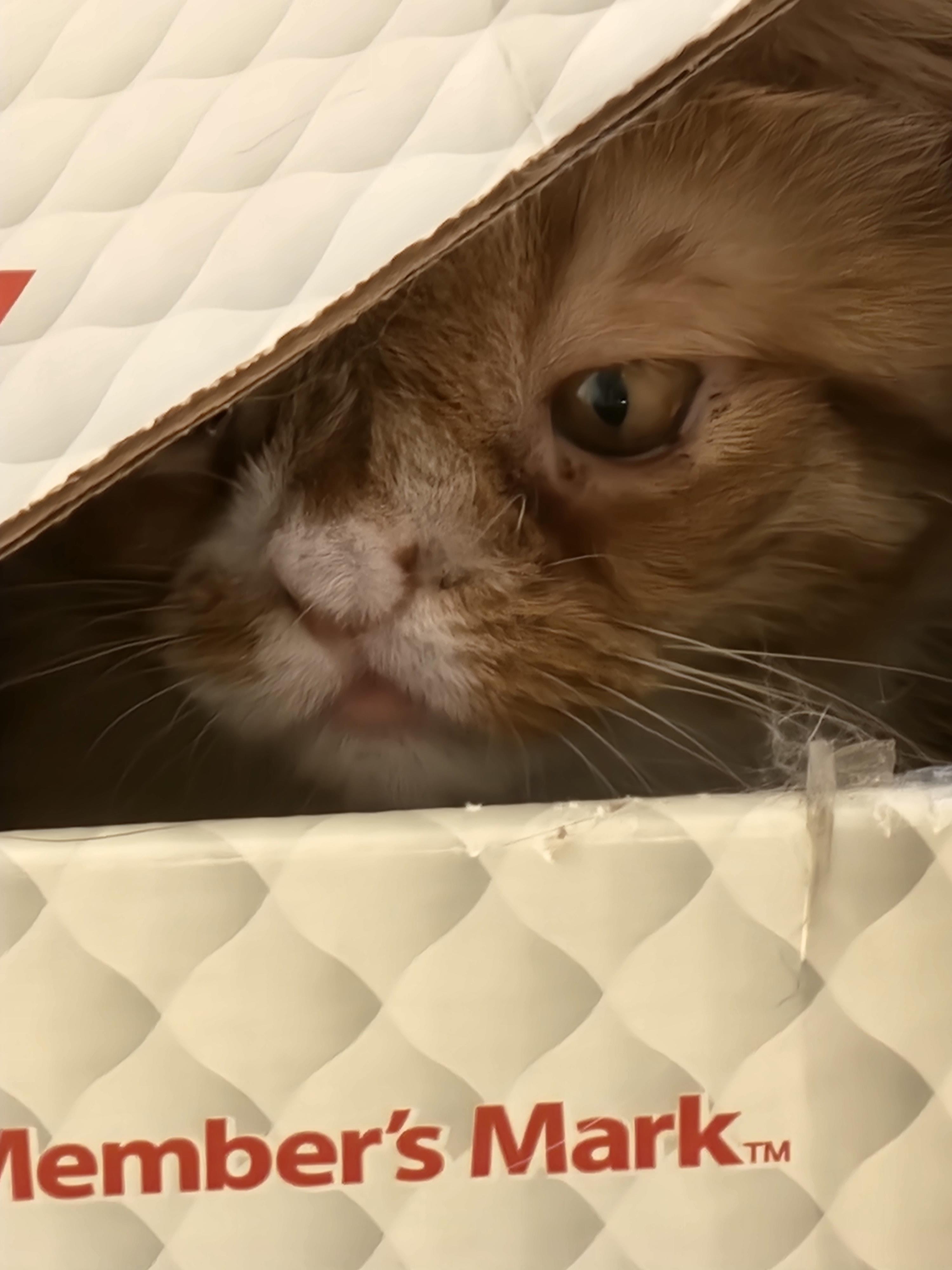 My little Squishy Bean | Scrolller