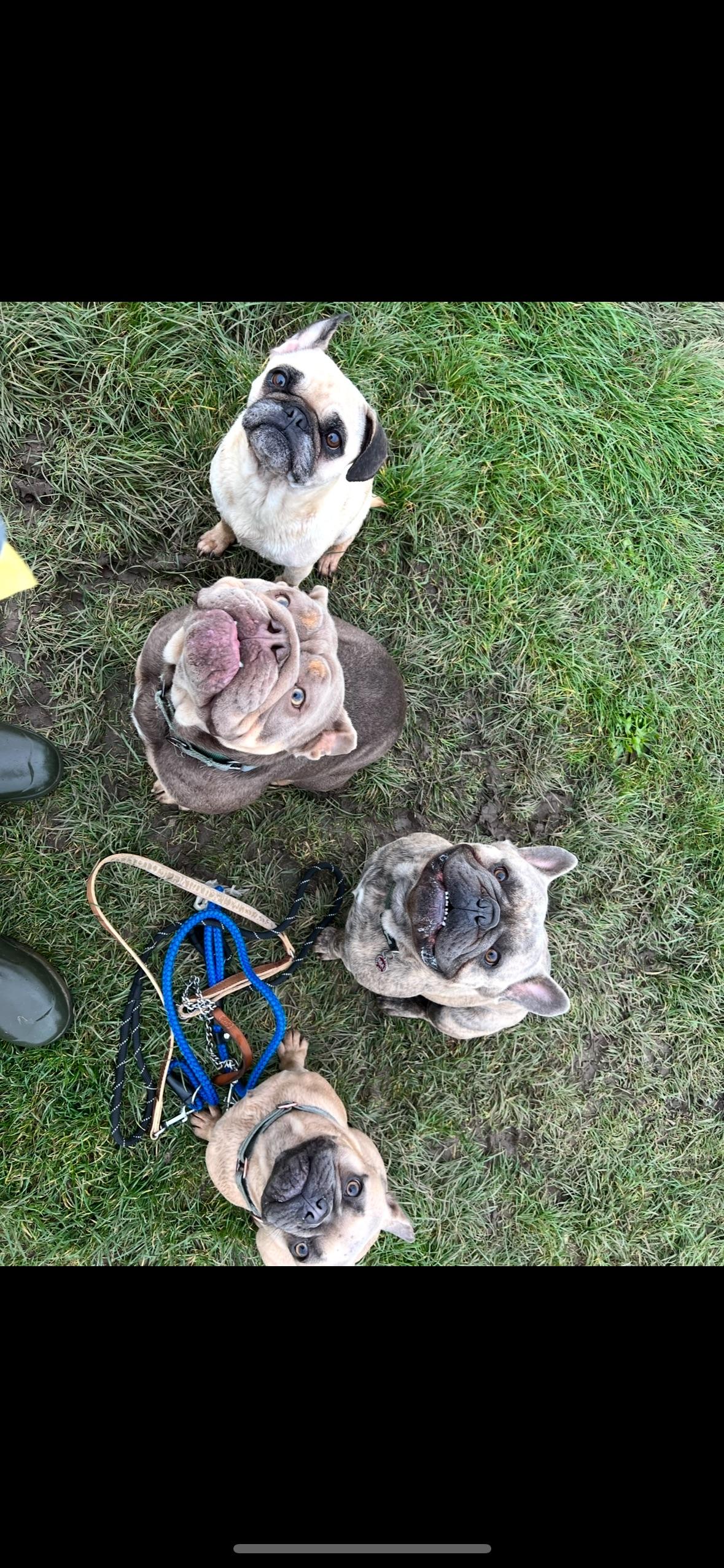 The Unholy Trinity (plus one) | Scrolller