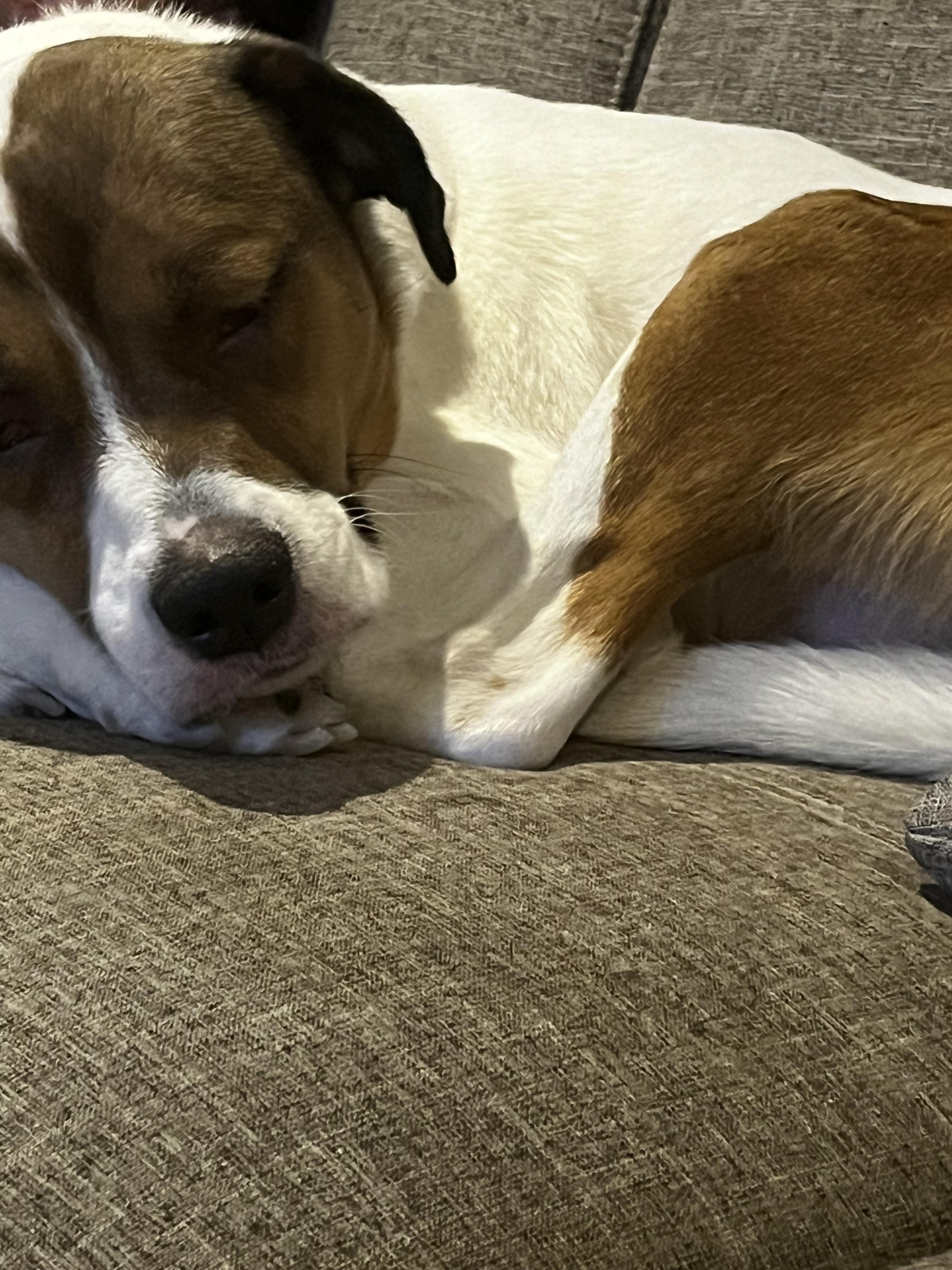 Weird sleeper | Scrolller