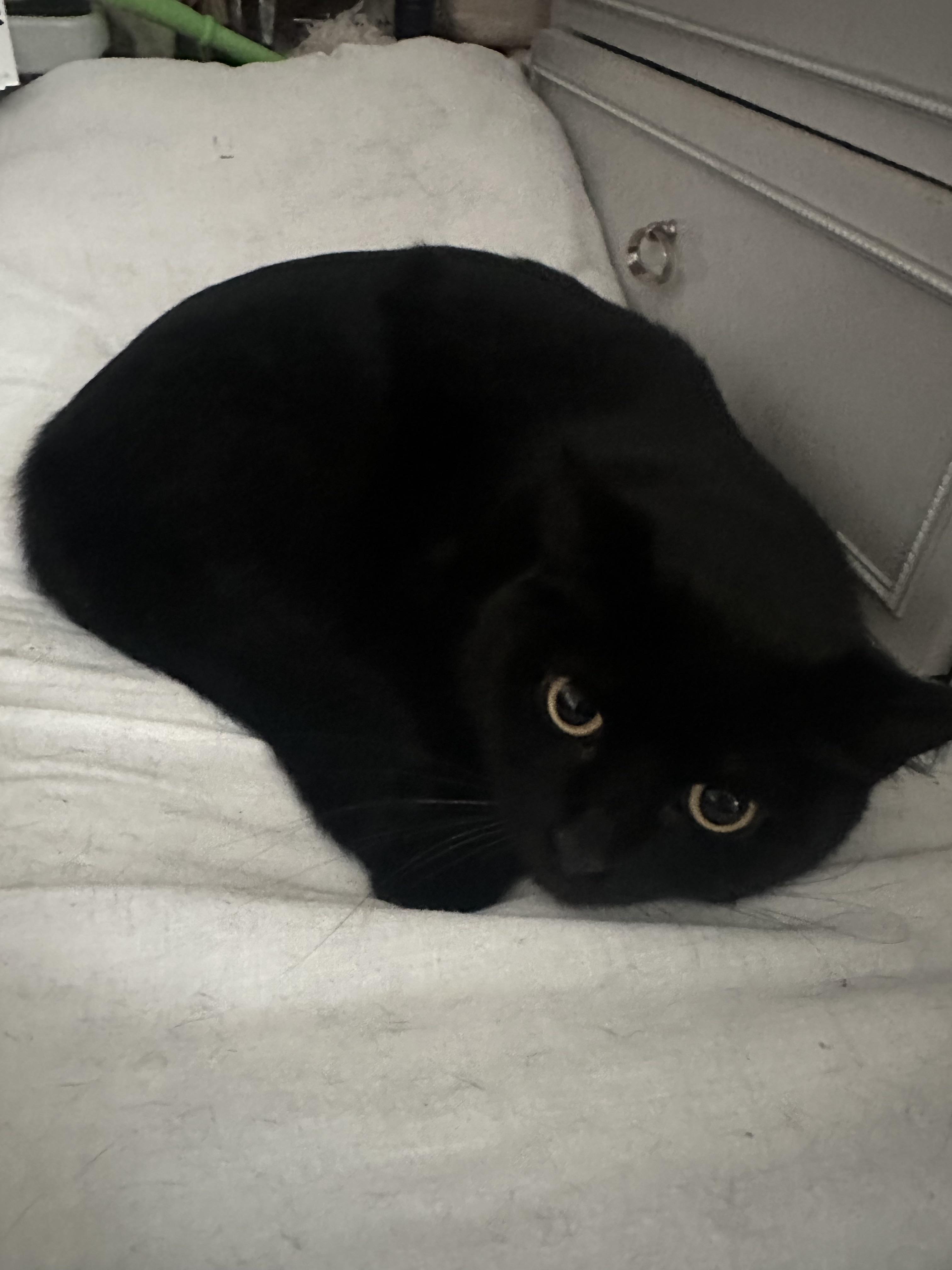 Strange void | Scrolller