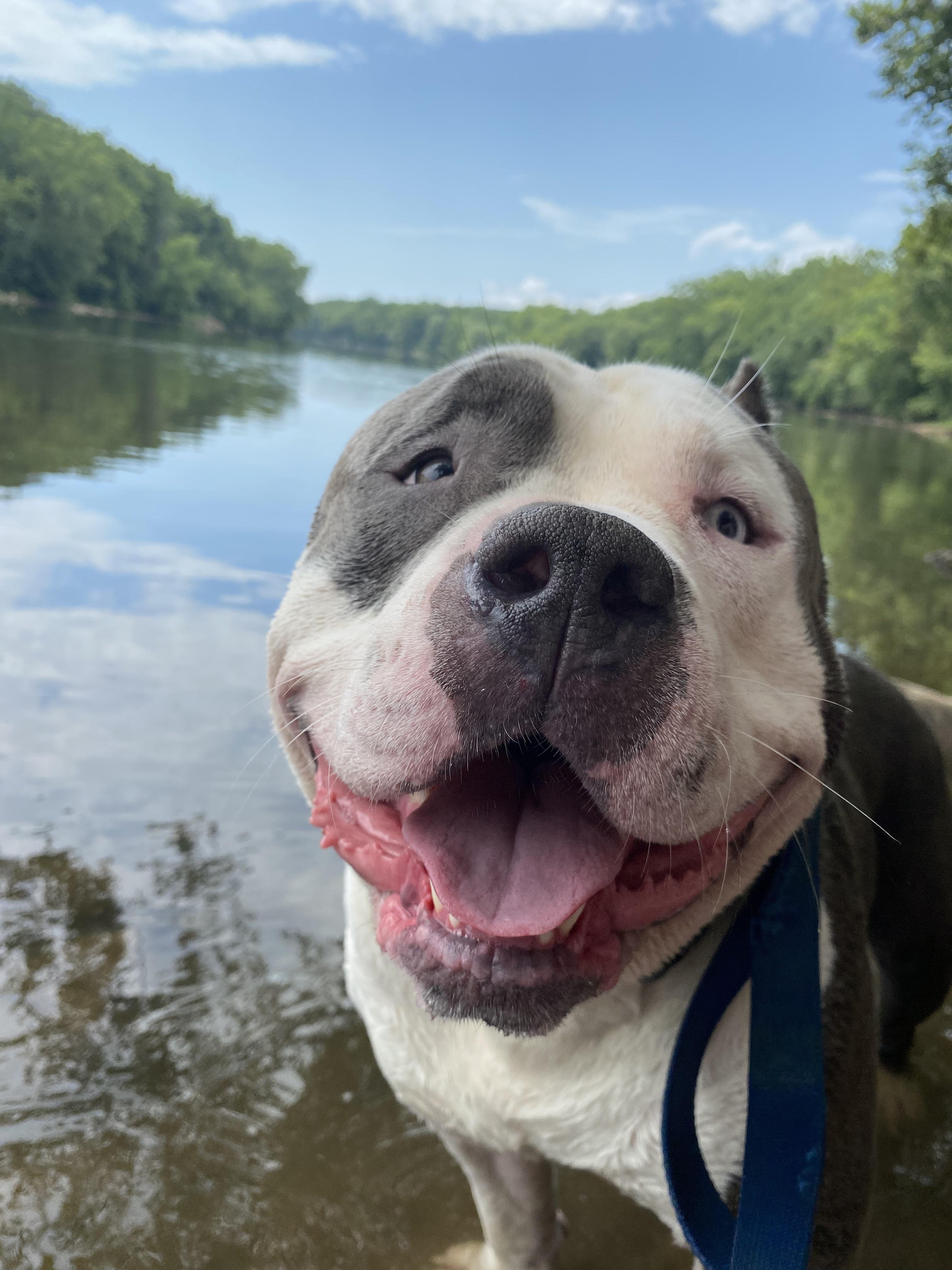 How to correct his manners | Scrolller