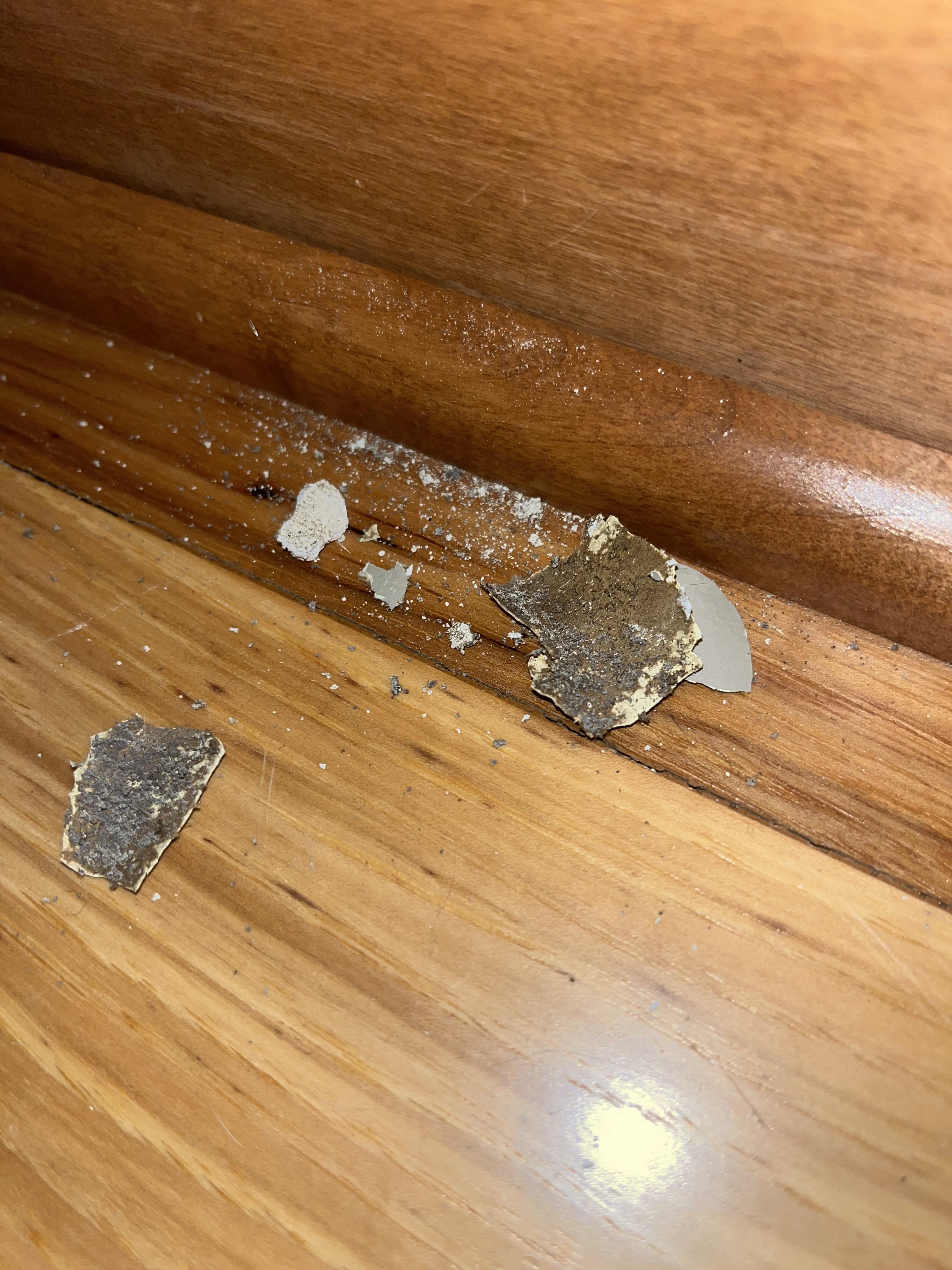 Is this mold? | Scrolller