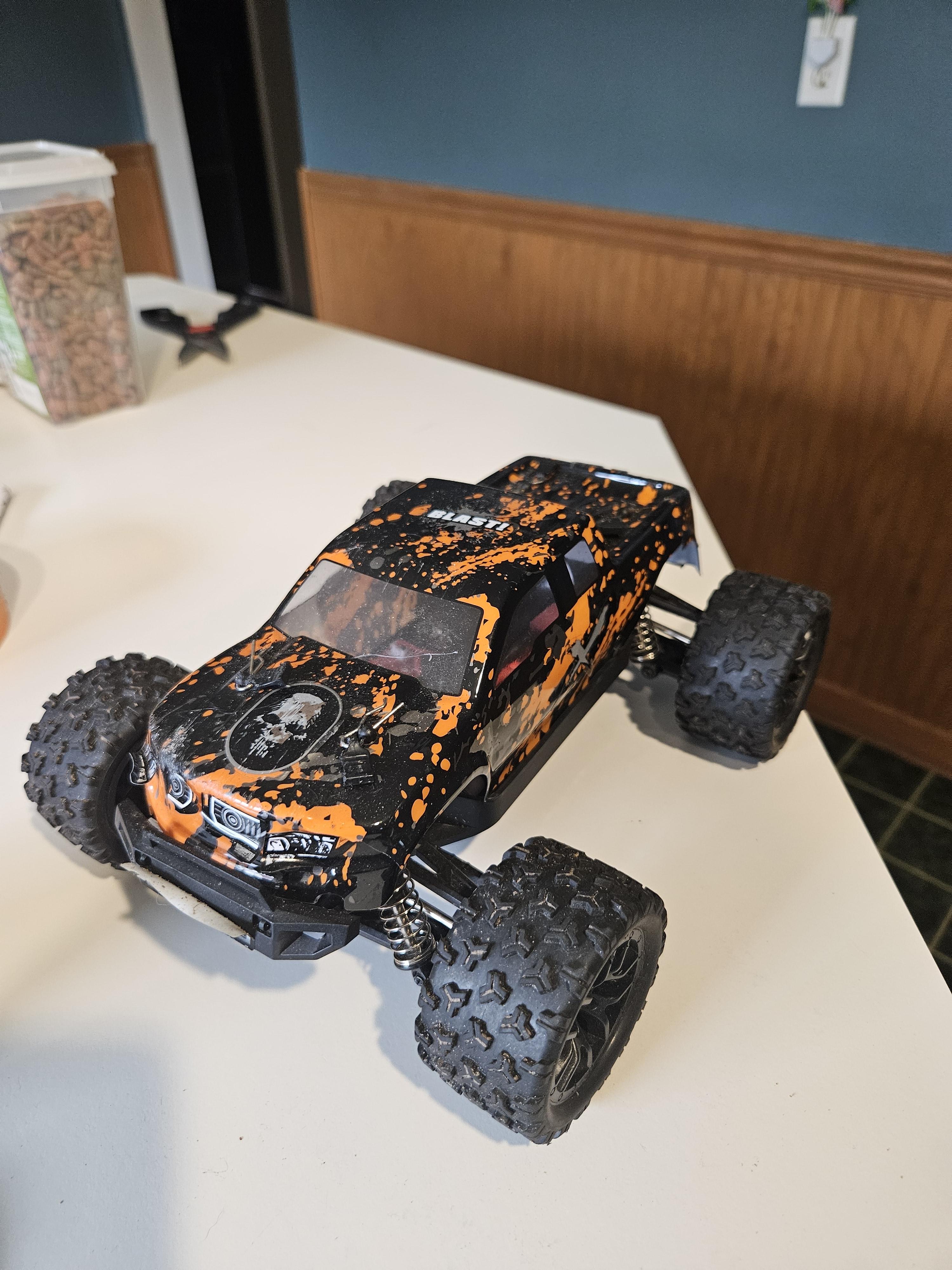 Identification? | Scrolller