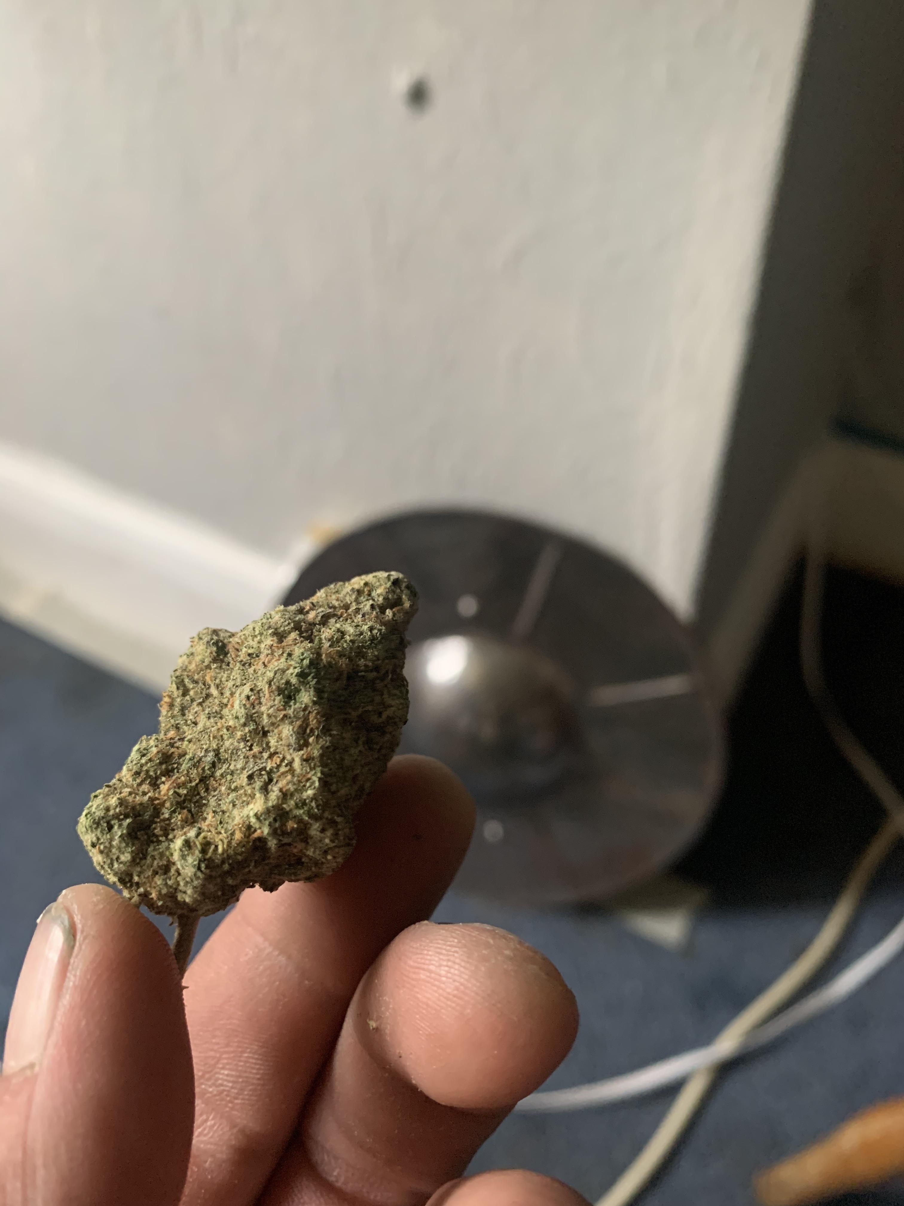 (Repost) Why is this weed so solid? | Scrolller