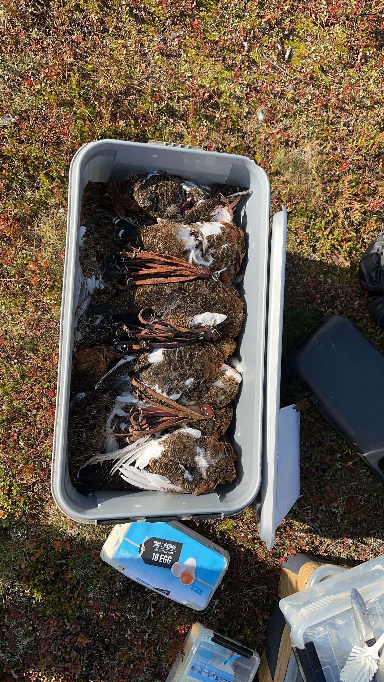 Longtime lurker, so this is my first post😁 | Scrolller