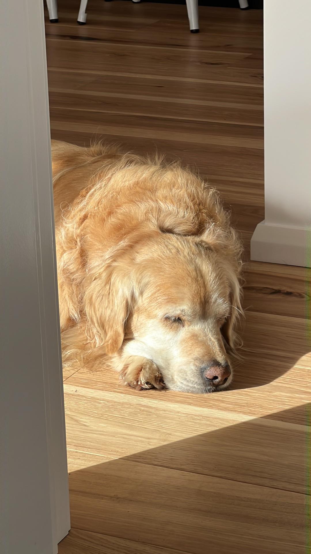 Happy 10th birthday Doc | Scrolller