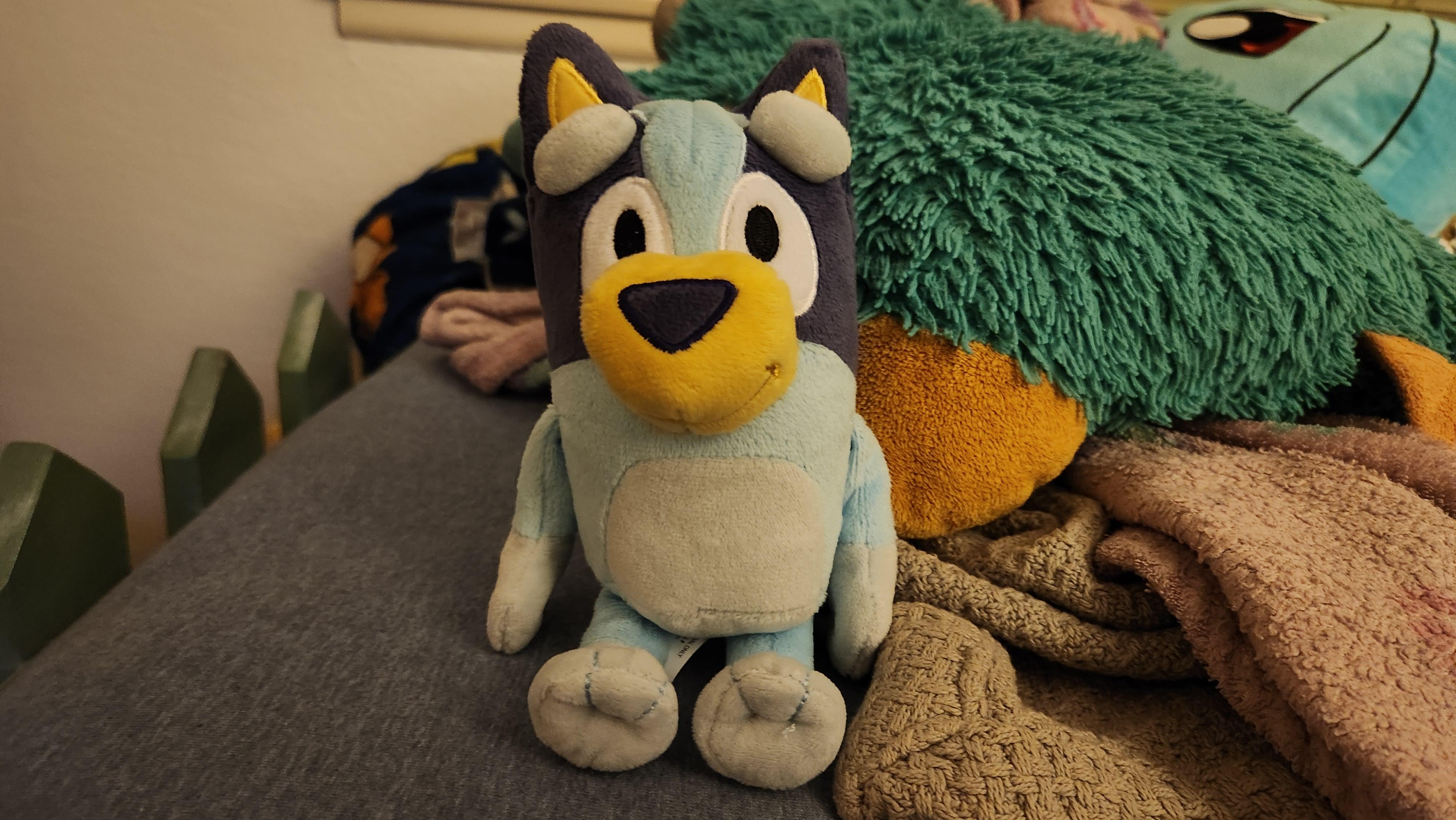 Discover more like Bluey: Bought a Bluey plush and now I'm making her a ZFG fan and Related ...
