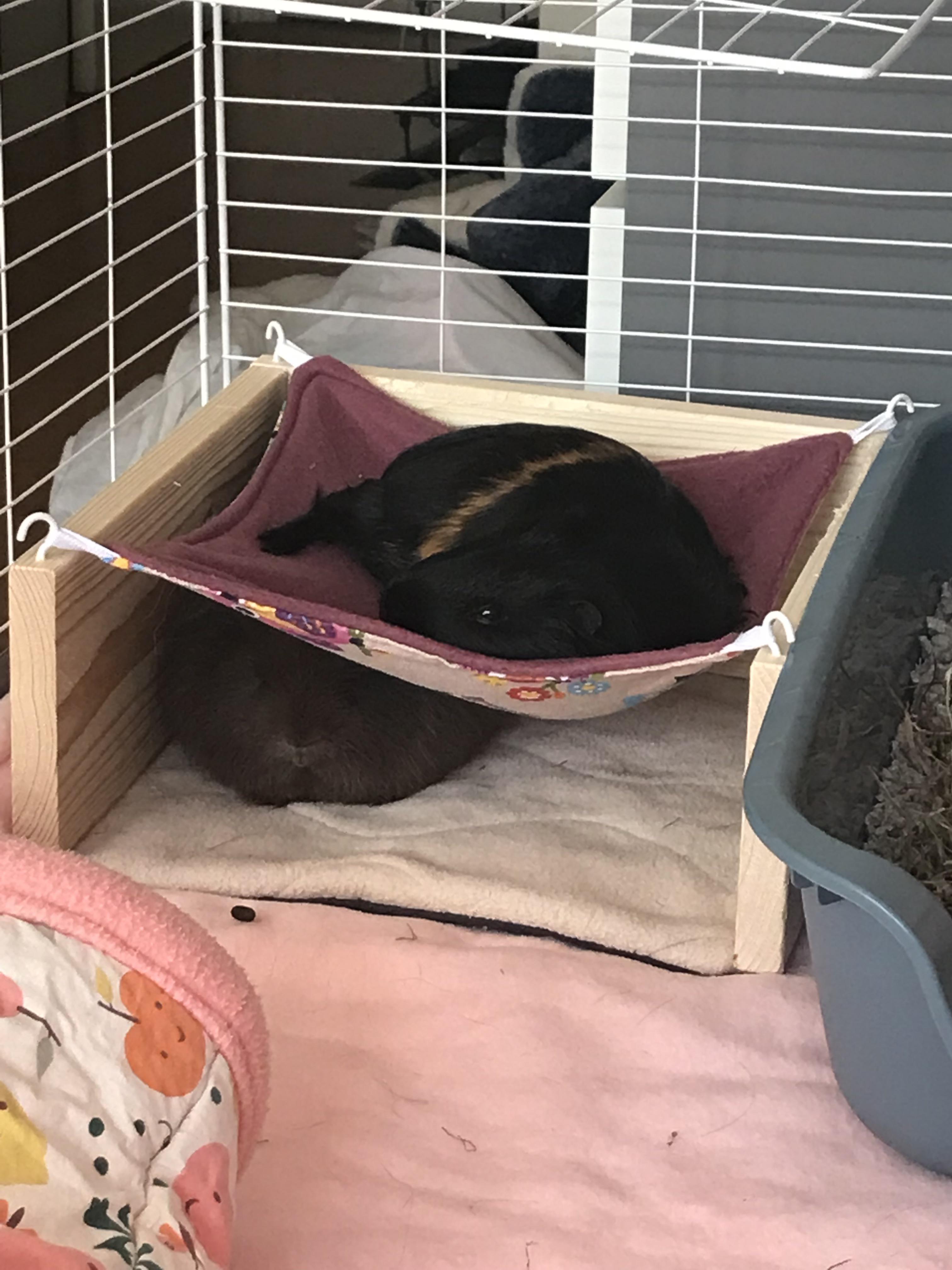 Bonding succeeded 🥹 | Scrolller