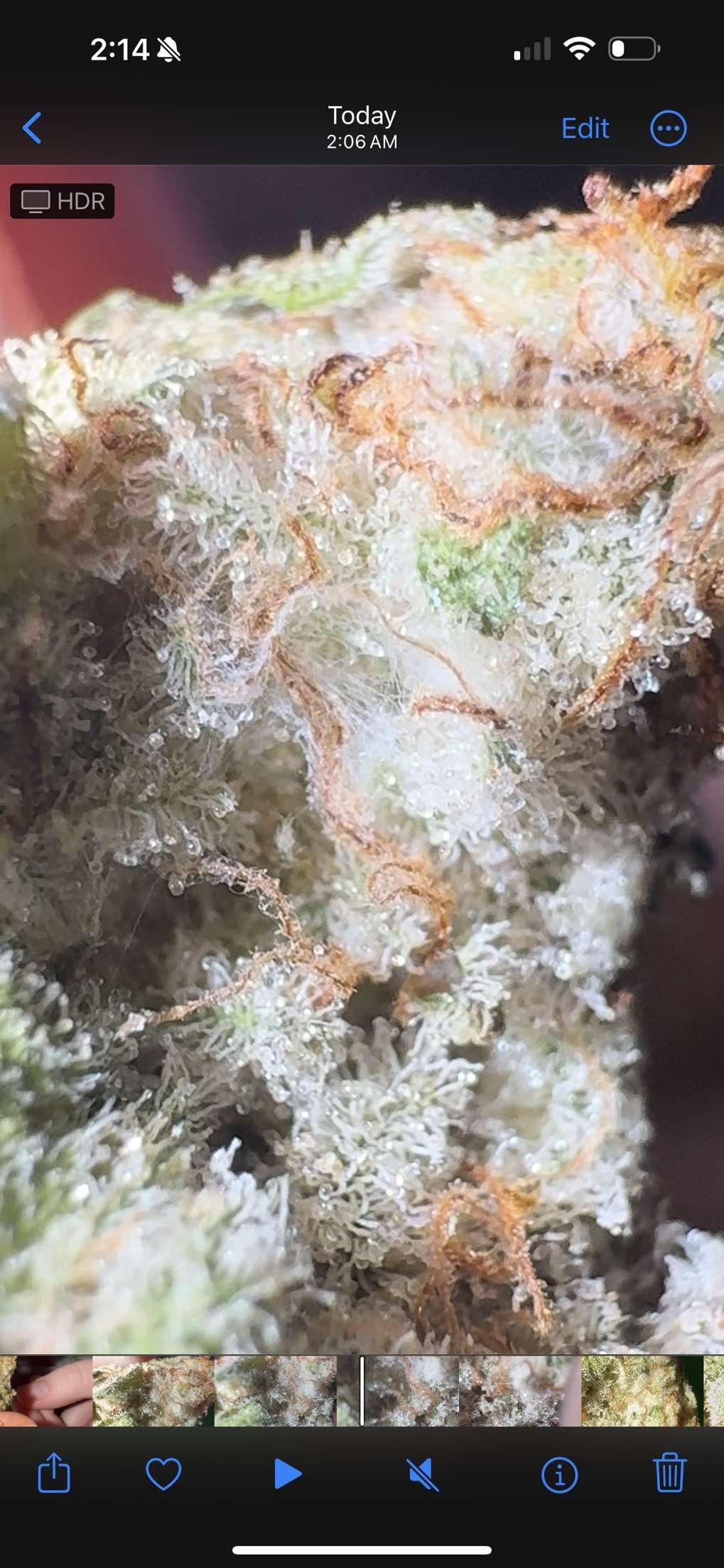 Is this mold? | Scrolller