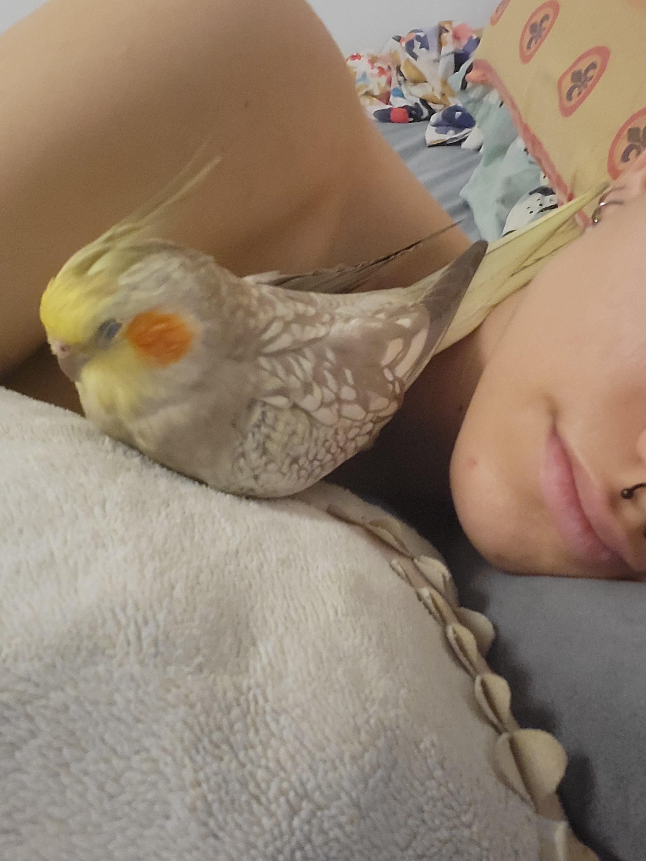 Slempy chimk big yawn | Scrolller