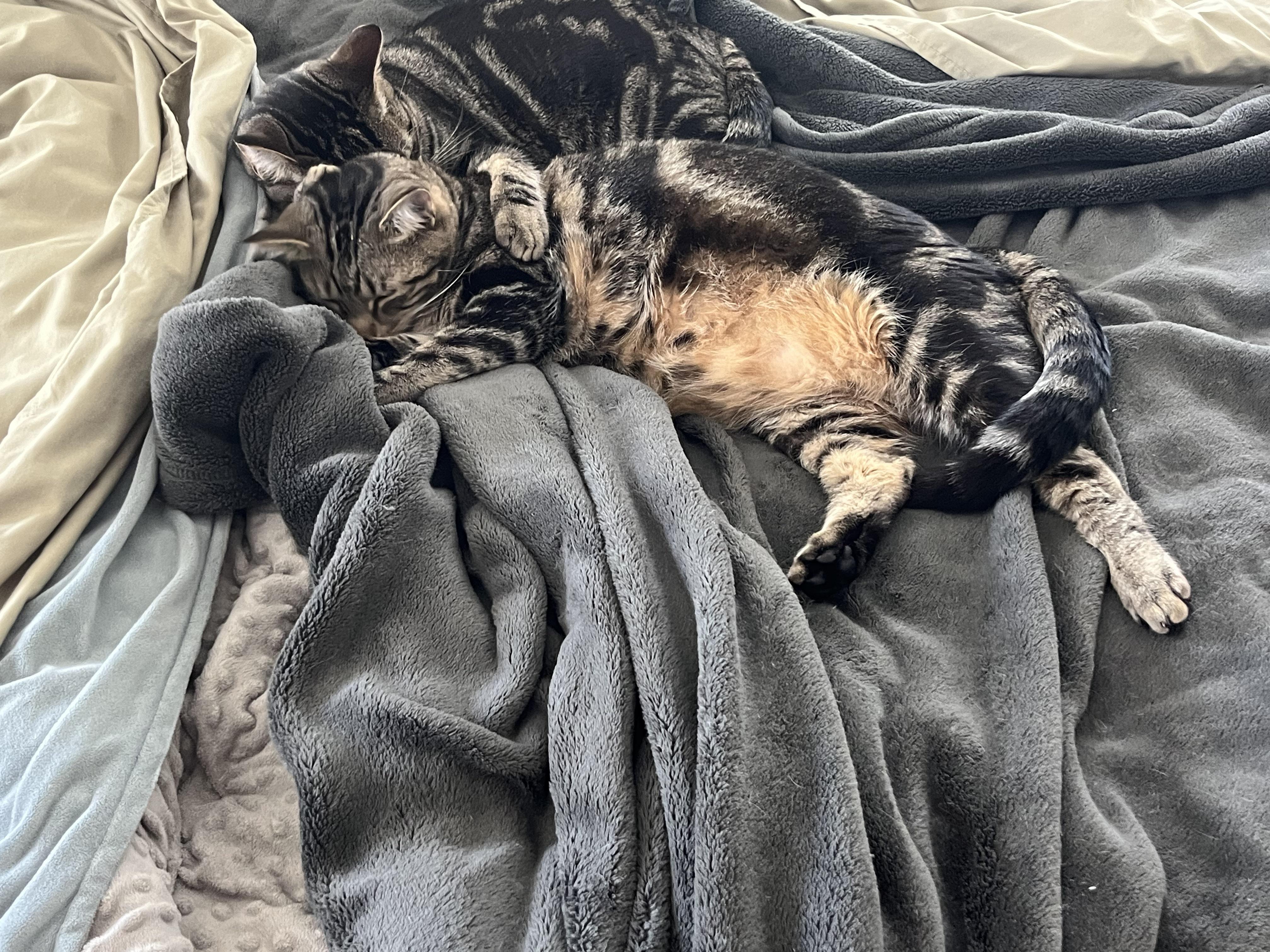 Brotherly love at its best | Scrolller