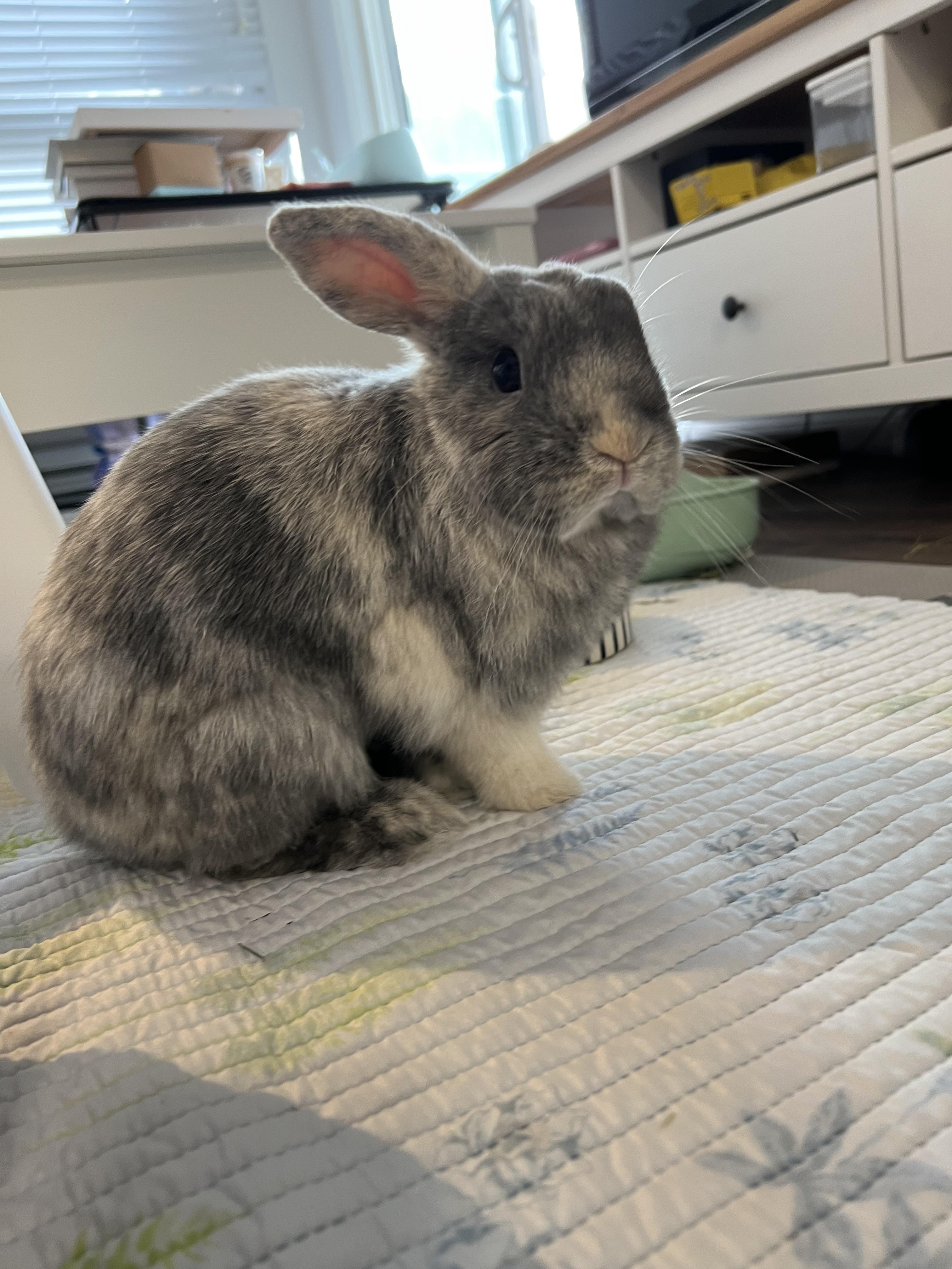 Nervous about bonding | Scrolller