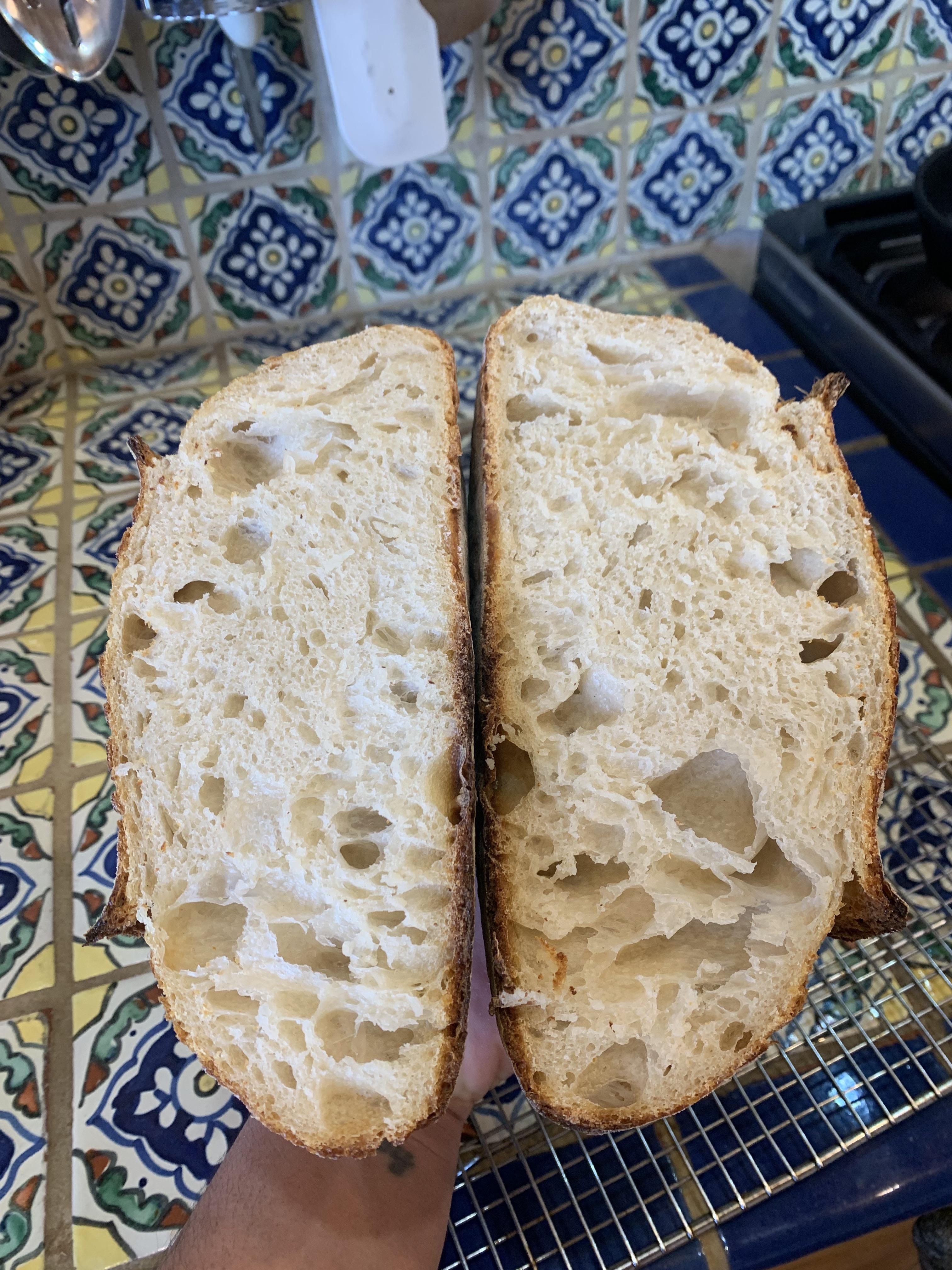 My first SD with starter from a friend. Way happier than I thought I’d ...