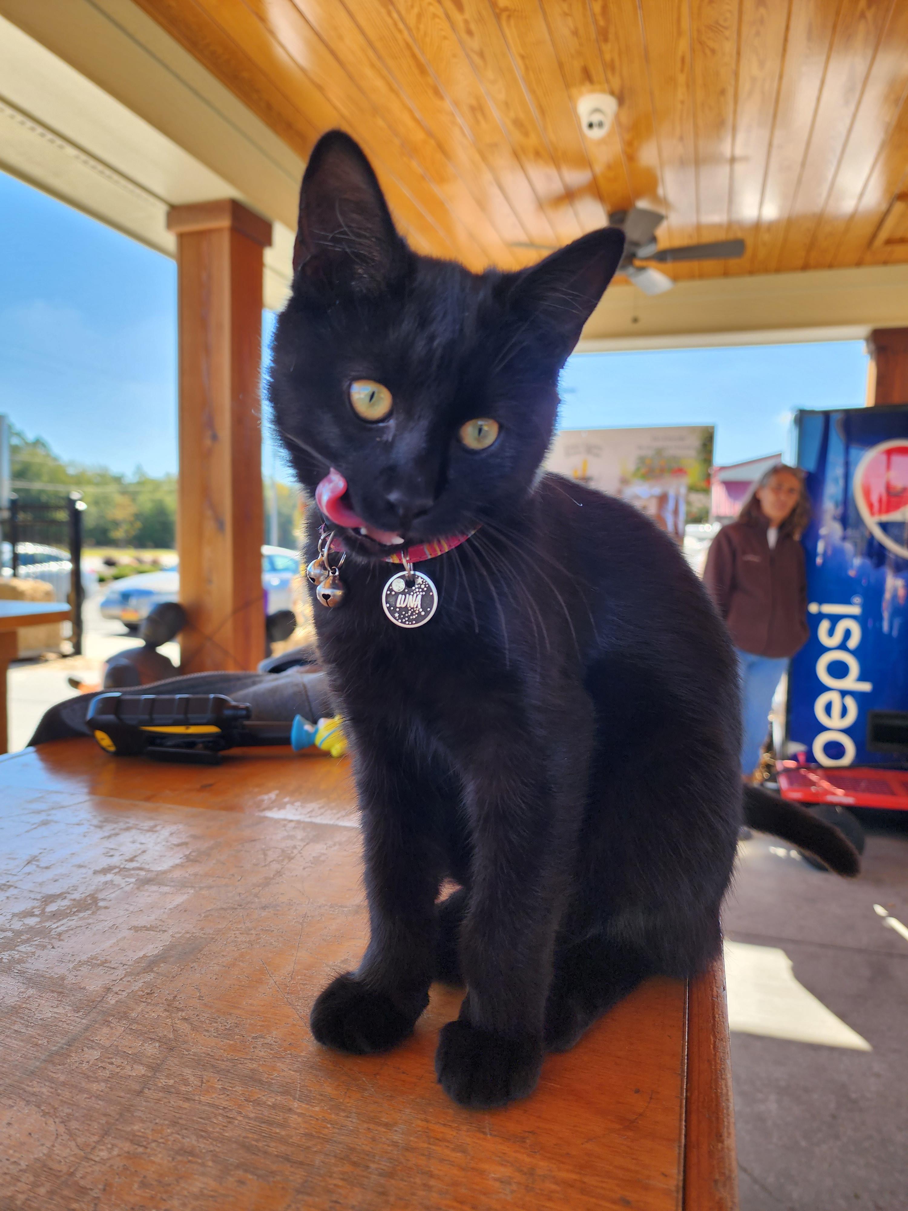 My work void | Scrolller