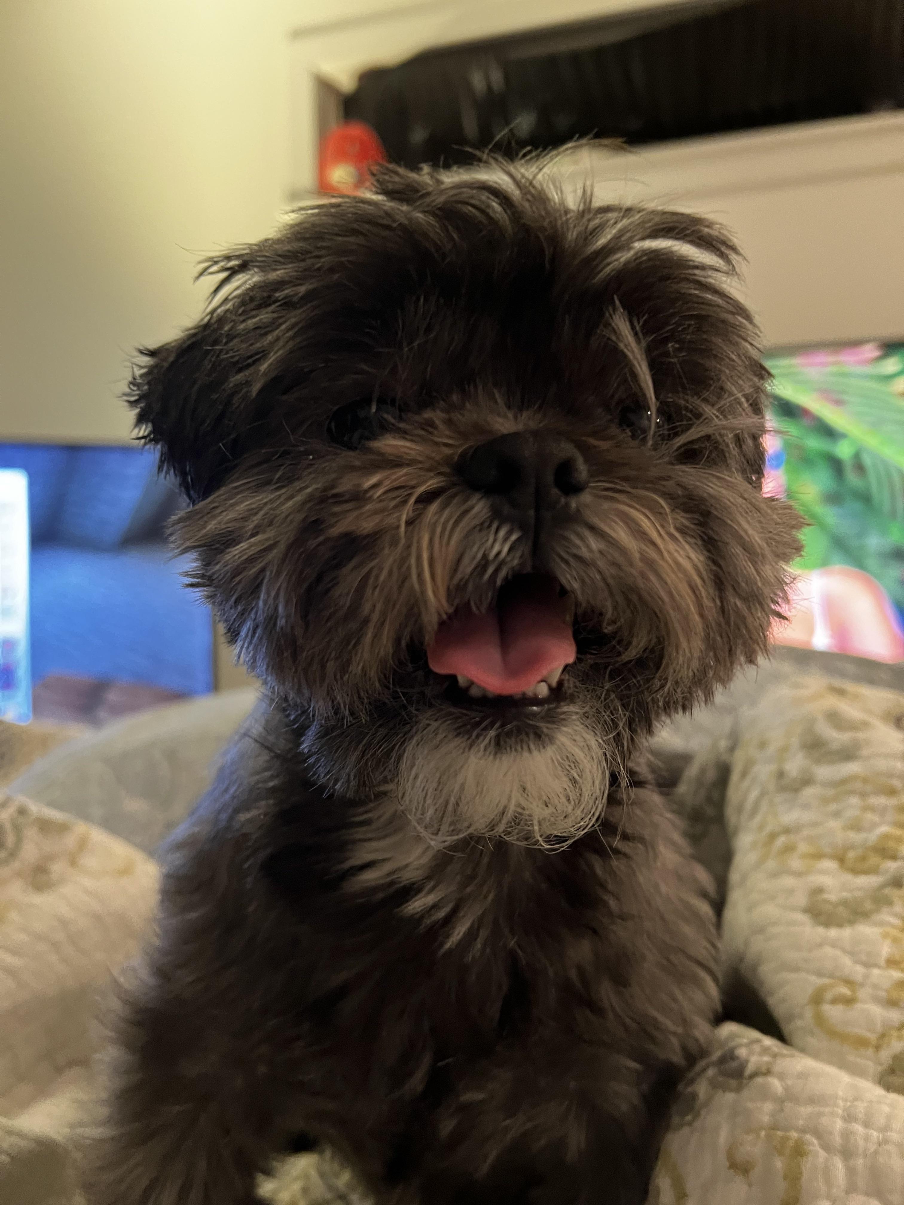 Anyone know what color this is called? | Scrolller