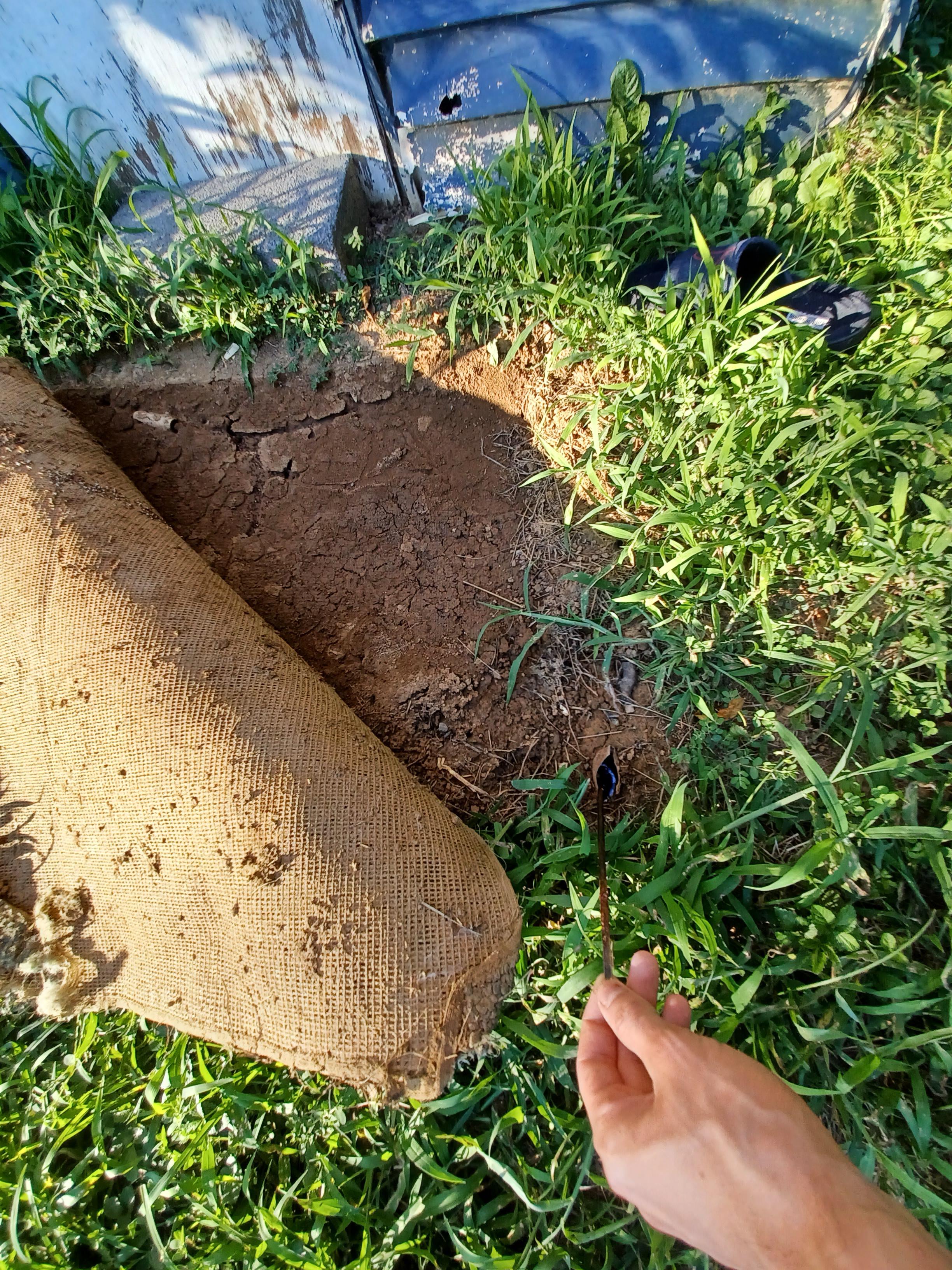 What is this oil thing in my backyard? | Scrolller