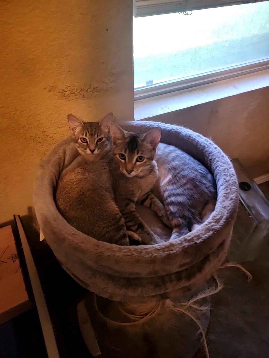 Rain and Shine | Scrolller