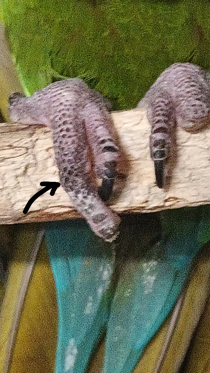 How do I know if it's broken | Scrolller