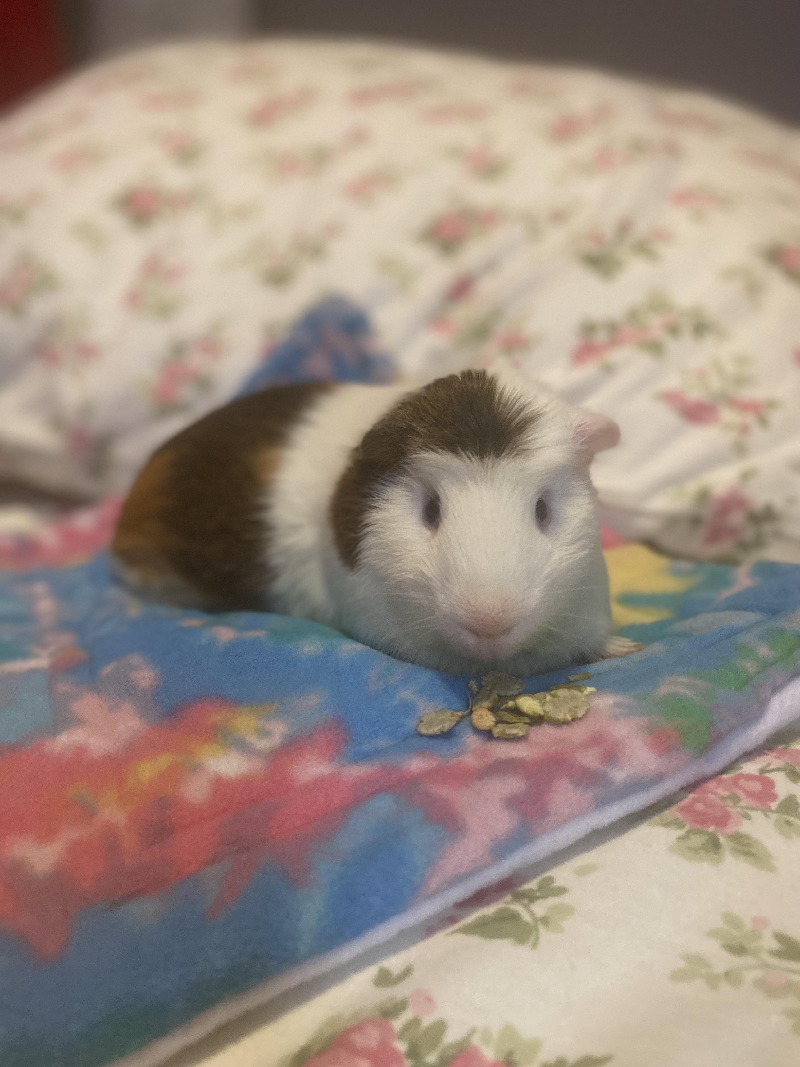 Handsome and stinky. | Scrolller